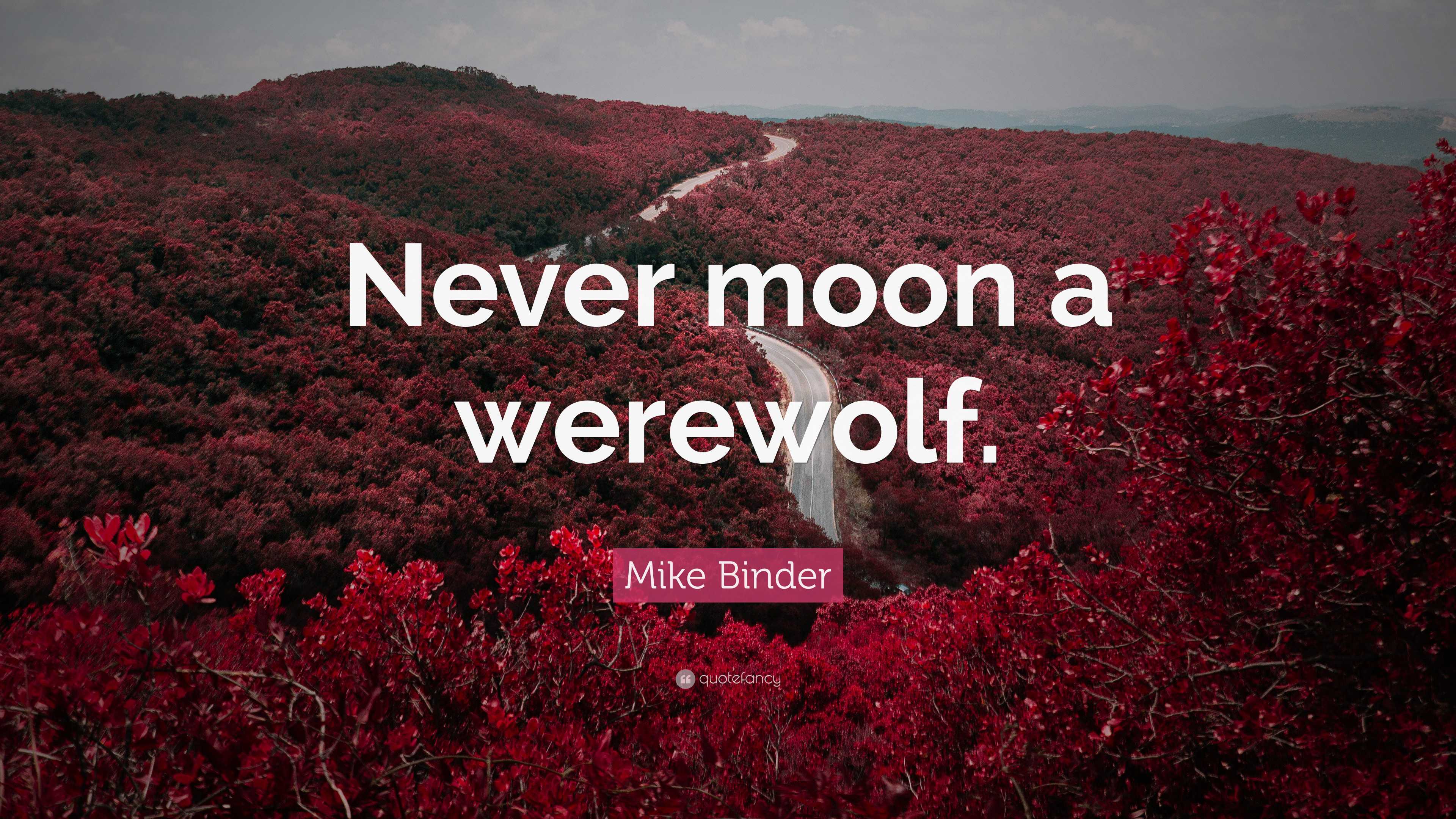 Mike Binder Quote: “Never moon a werewolf.”