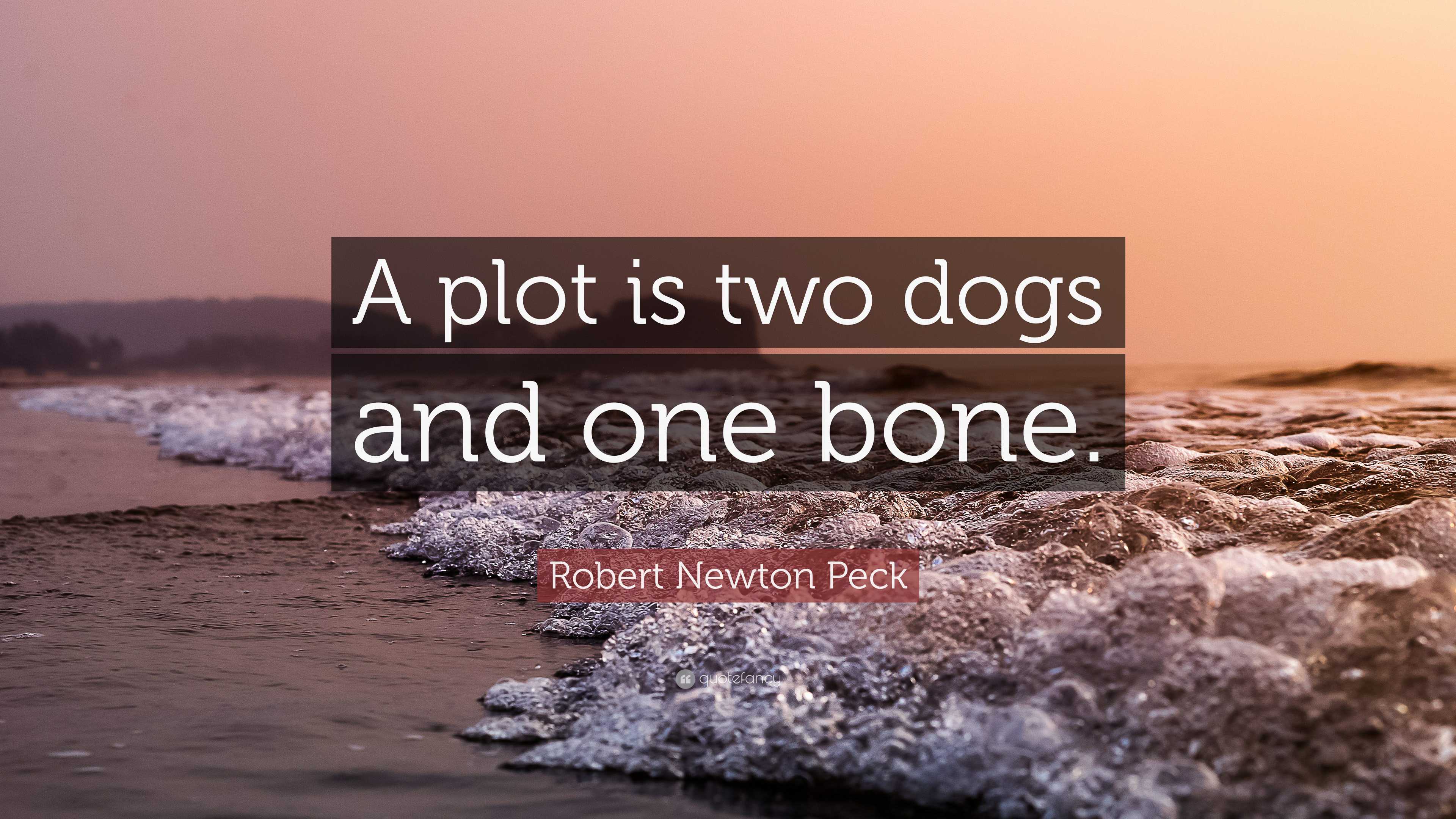 Robert Newton Peck Quote: “A plot is two dogs and one bone.”