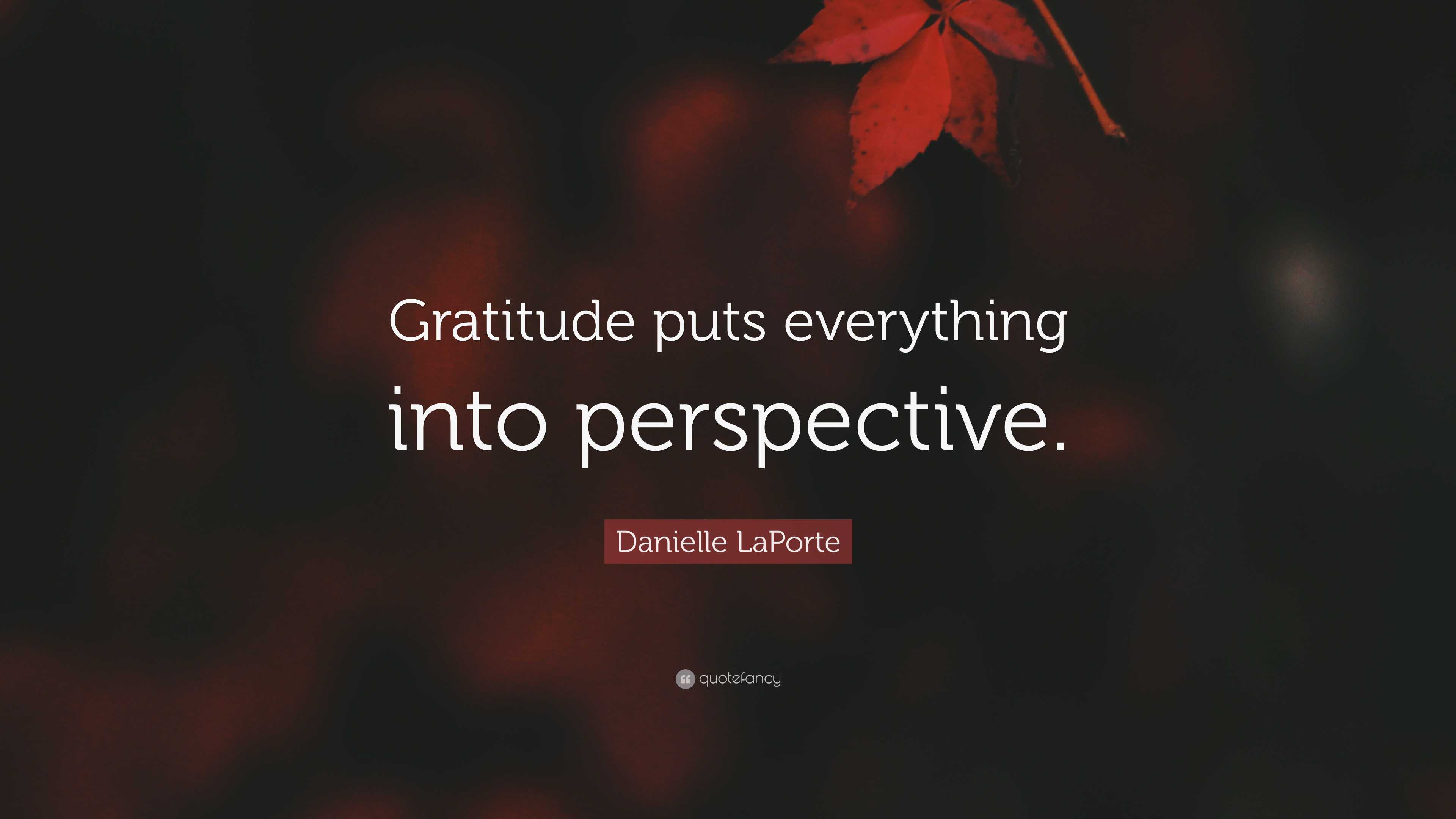 Danielle LaPorte Quote: “Gratitude puts everything into perspective.”