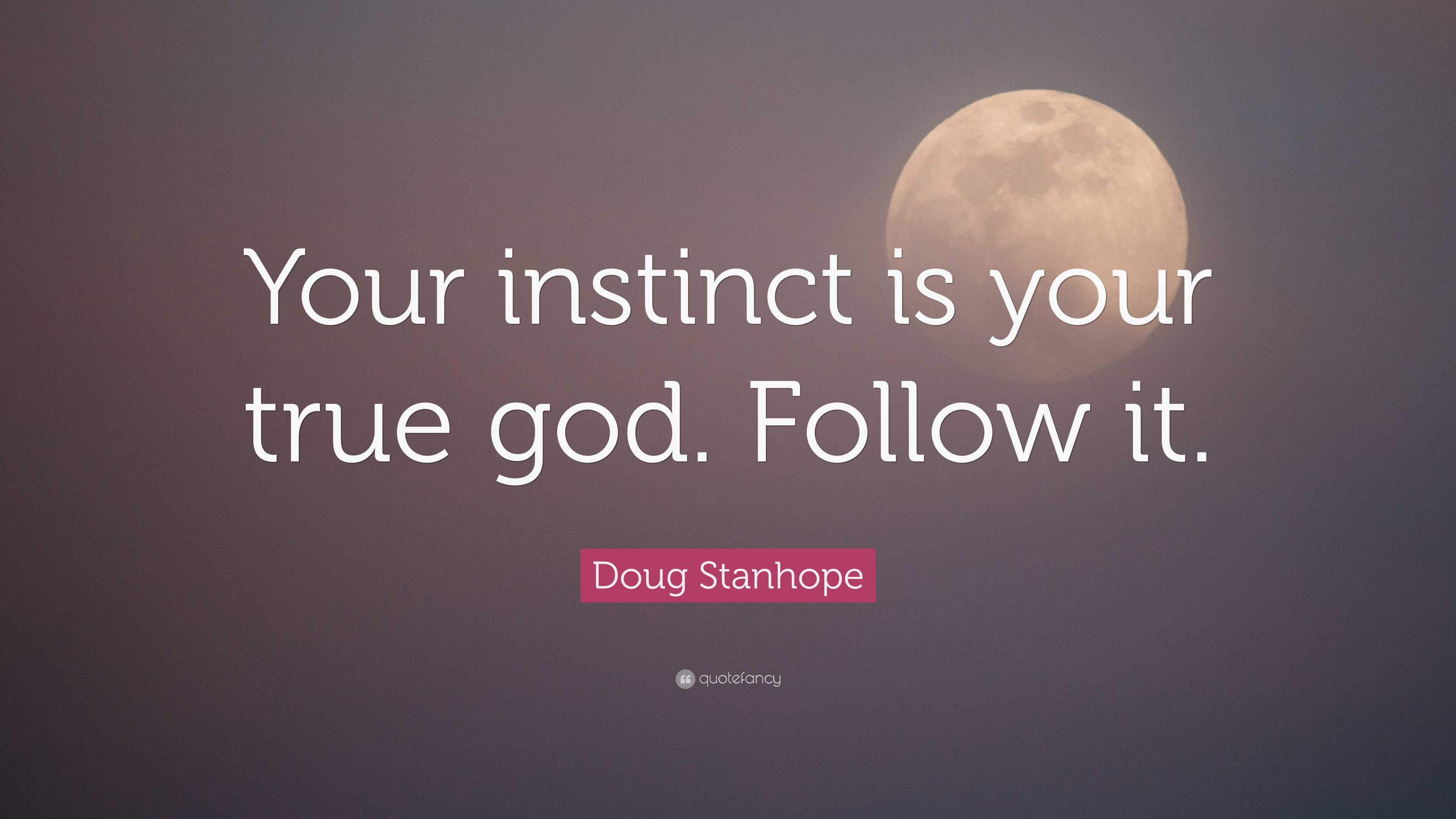 Doug Stanhope Quote: “Your instinct is your true god. Follow it.”