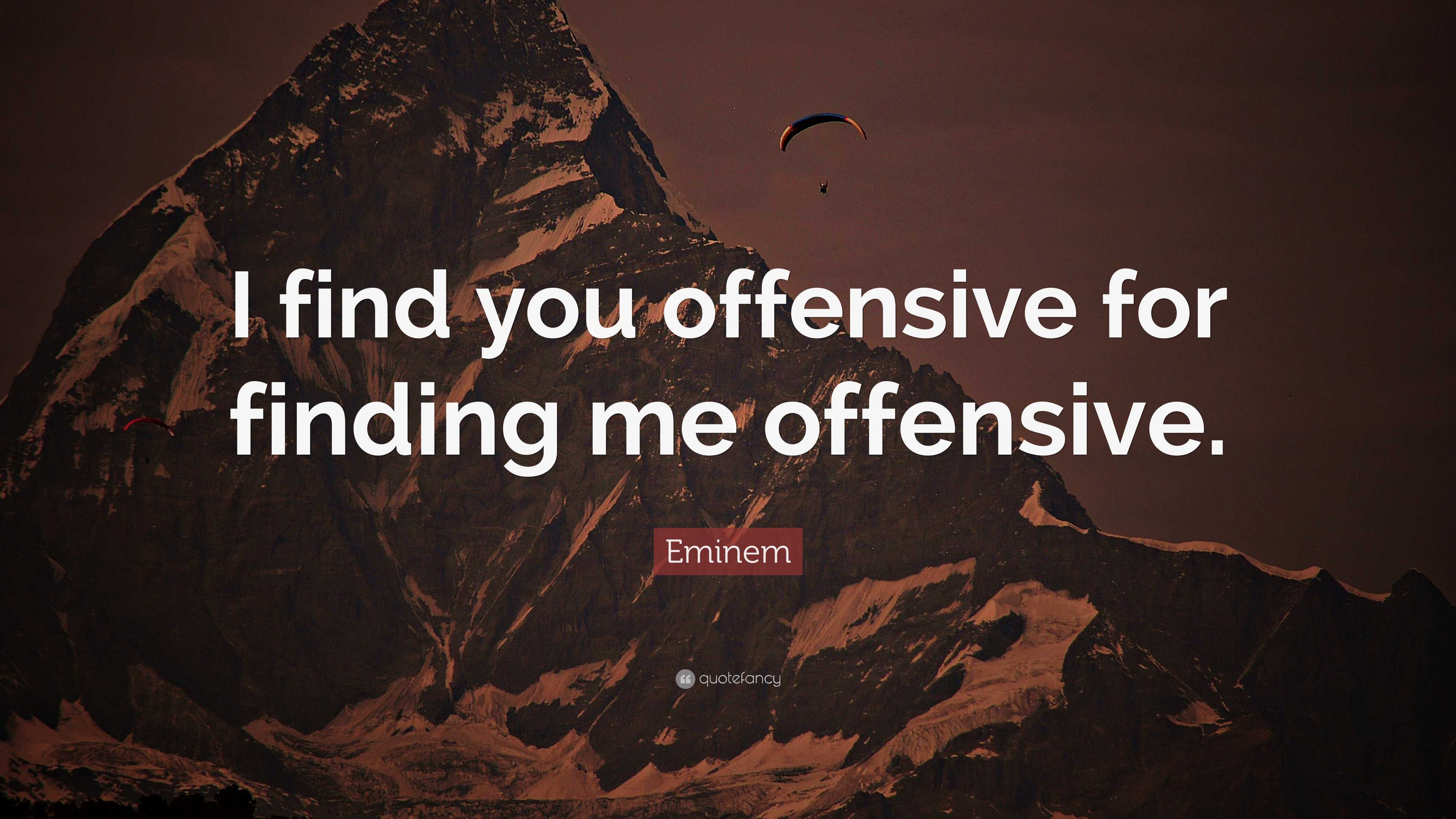 Eminem Quote: “I find you offensive for finding me offensive.”