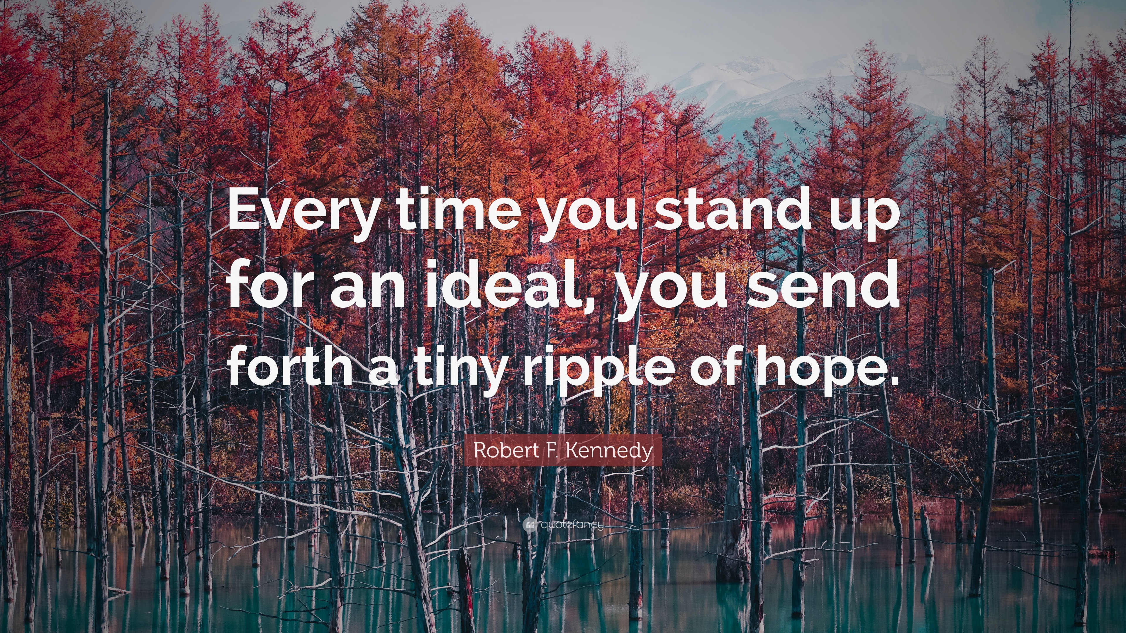 Robert F. Kennedy Quote: “Every time you stand up for an ideal, you ...