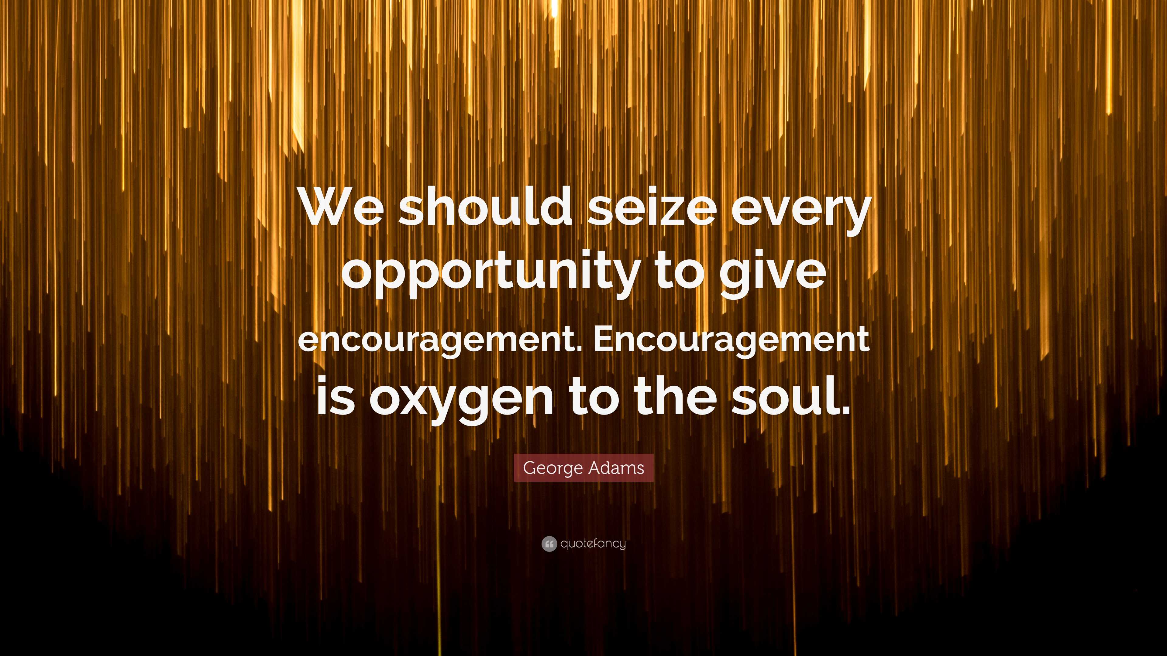 George Adams Quote: “We should seize every opportunity to give ...