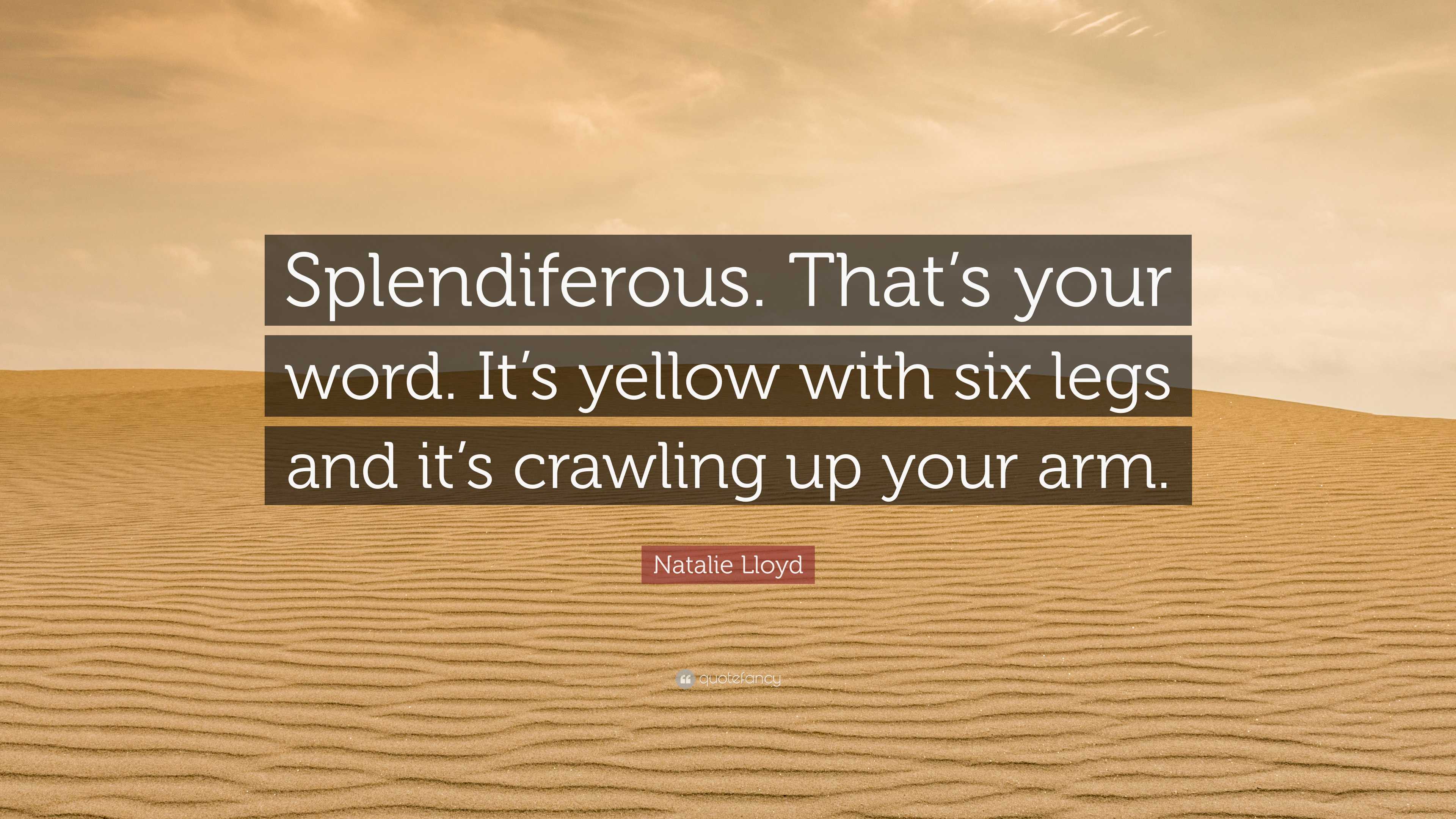Natalie Lloyd Quote: “Splendiferous. That’s your word. It’s yellow with ...