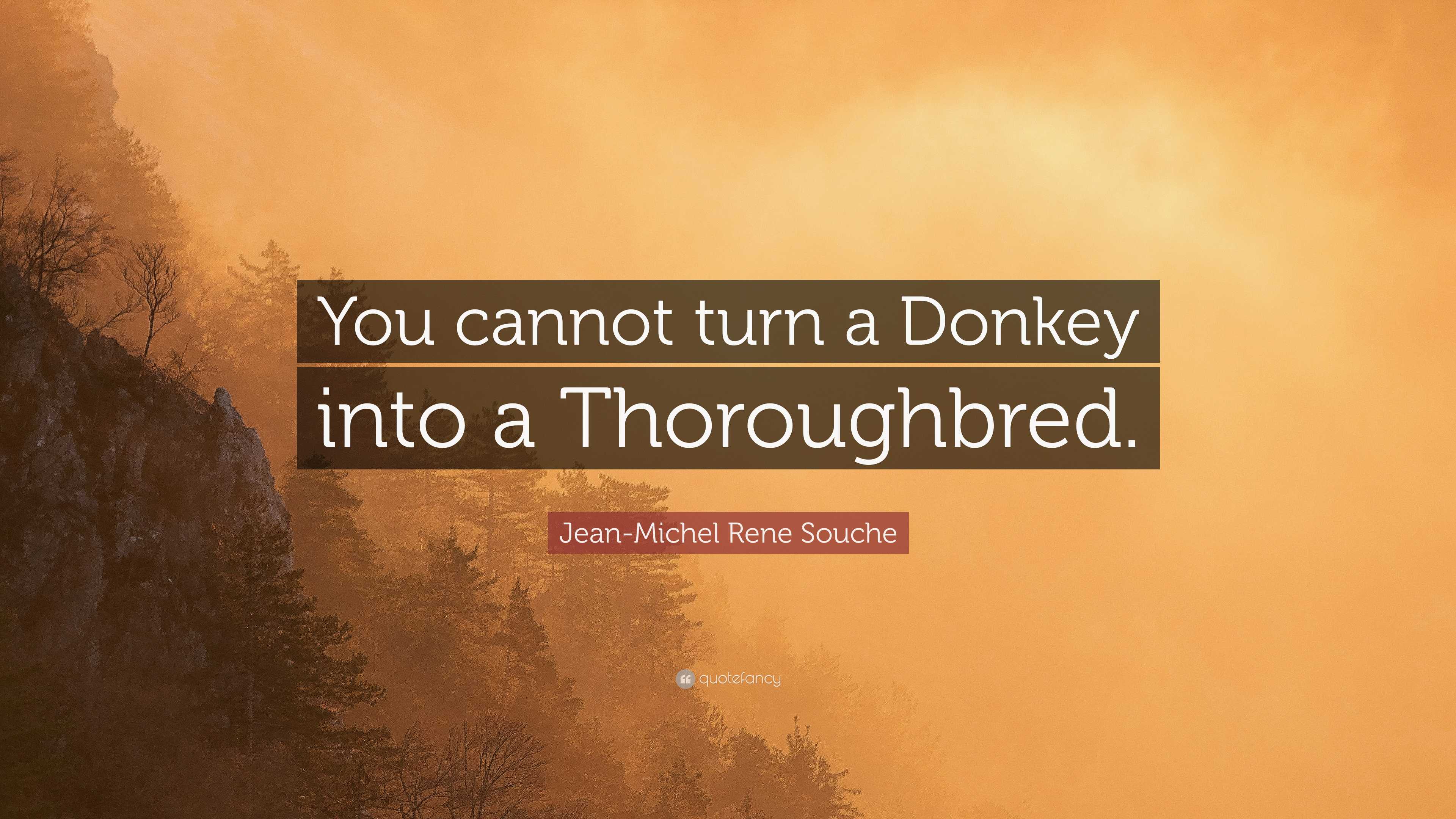 Jean-Michel Rene Souche Quote: “You cannot turn a Donkey into a ...