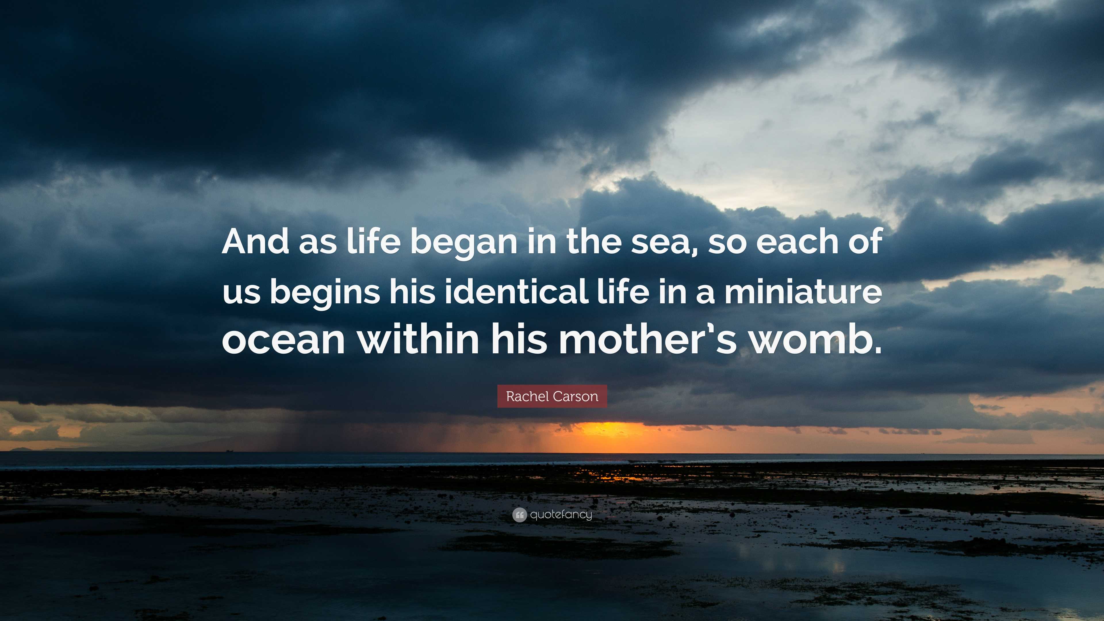 Rachel Carson Quote: “And as life began in the sea, so each of us ...