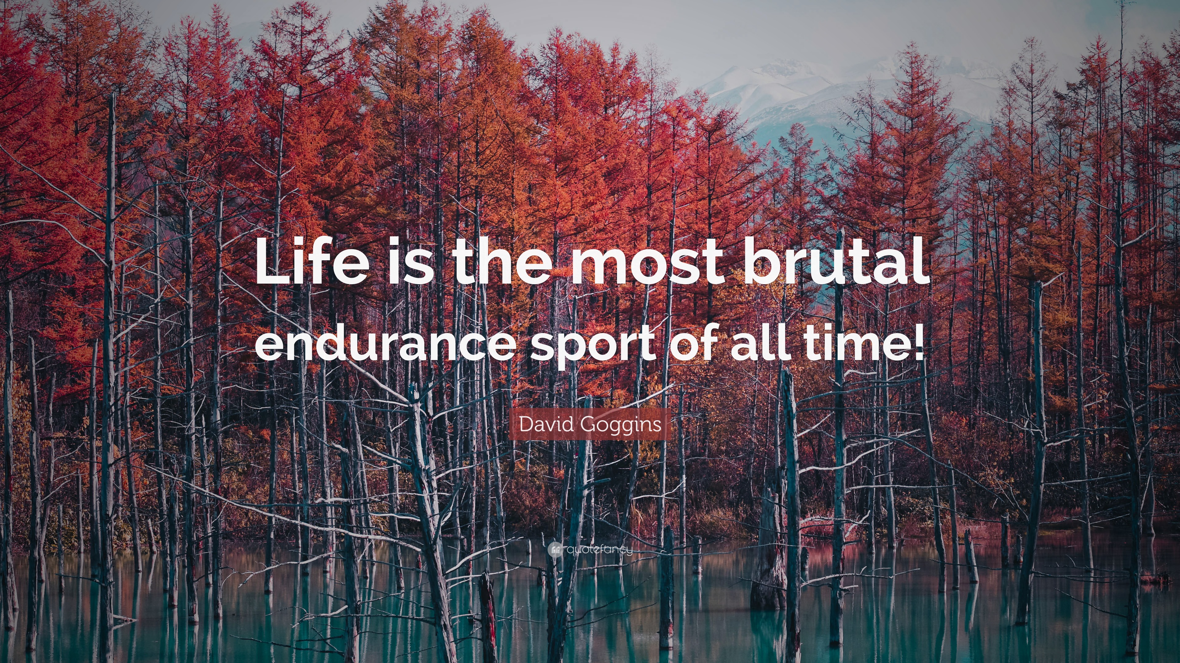 David Goggins Quote: “Life is the most brutal endurance sport of all time!”