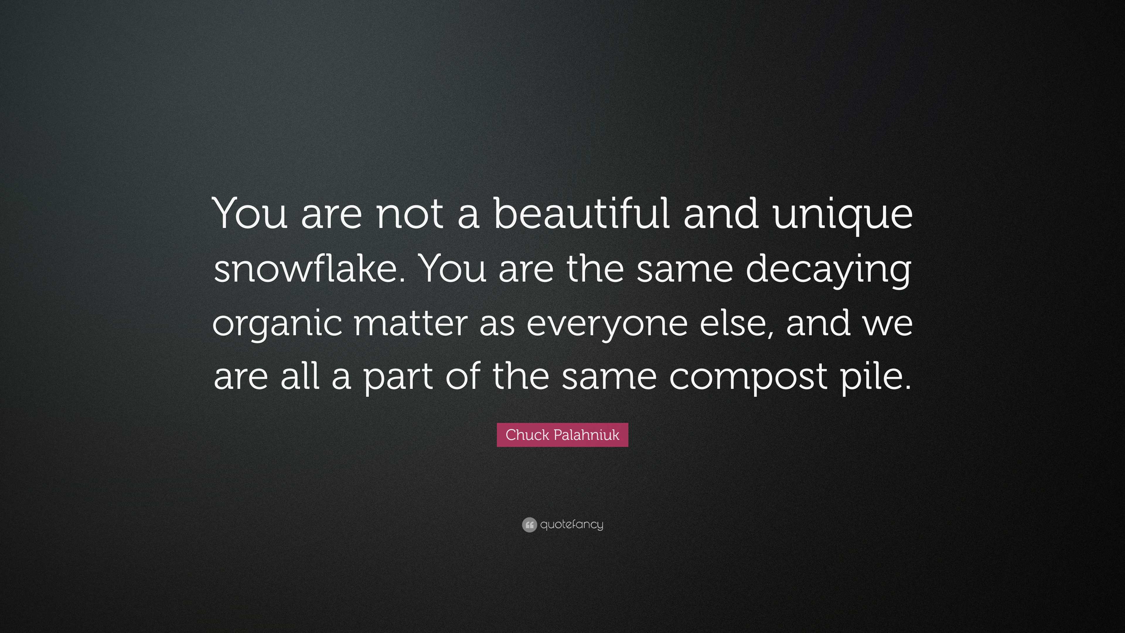 Chuck Palahniuk Quote: “You are not a beautiful and unique snowflake ...