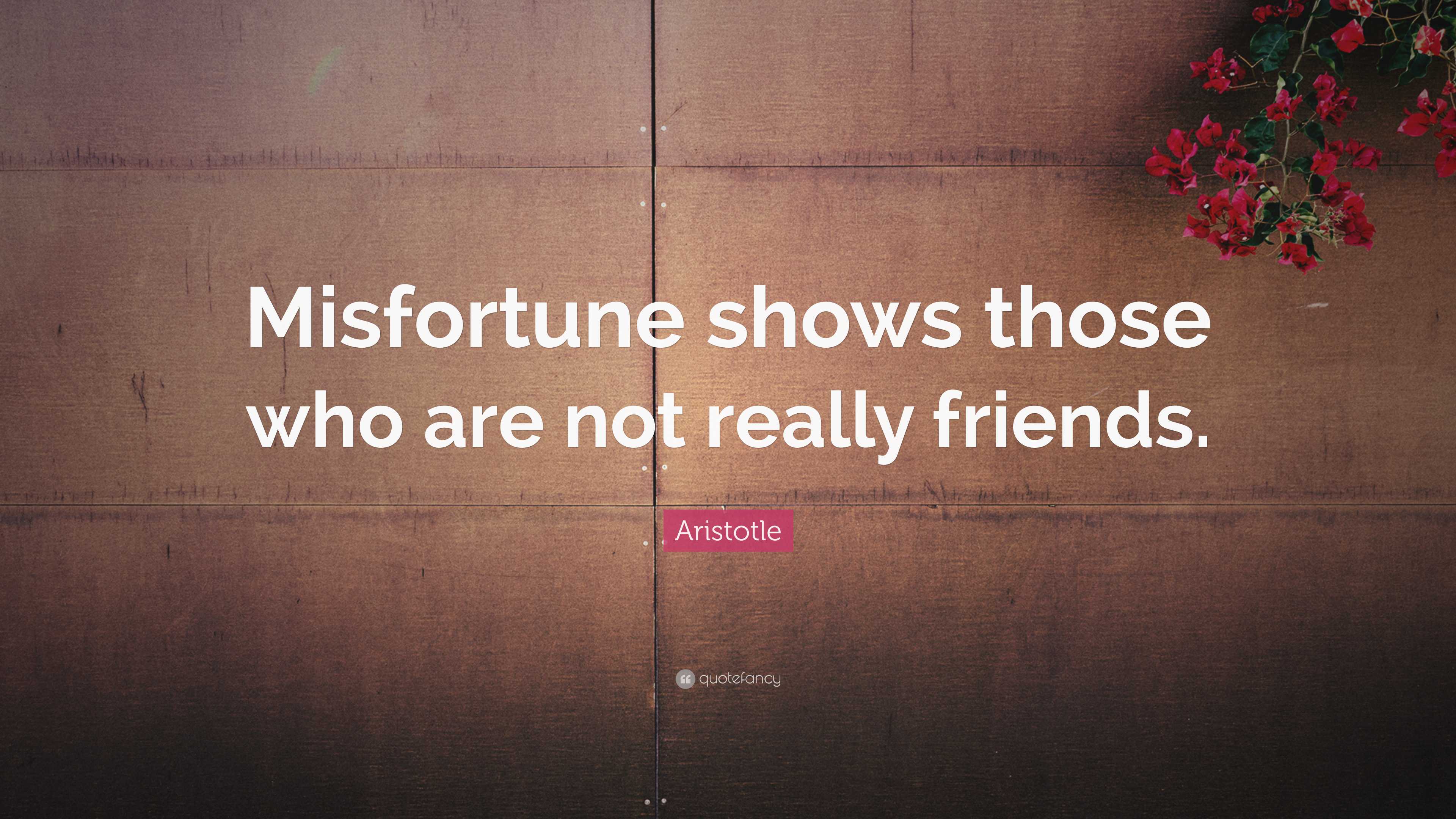 Misfortune Friends Quotes Proverbs And Sayings About Friendship. Ppt