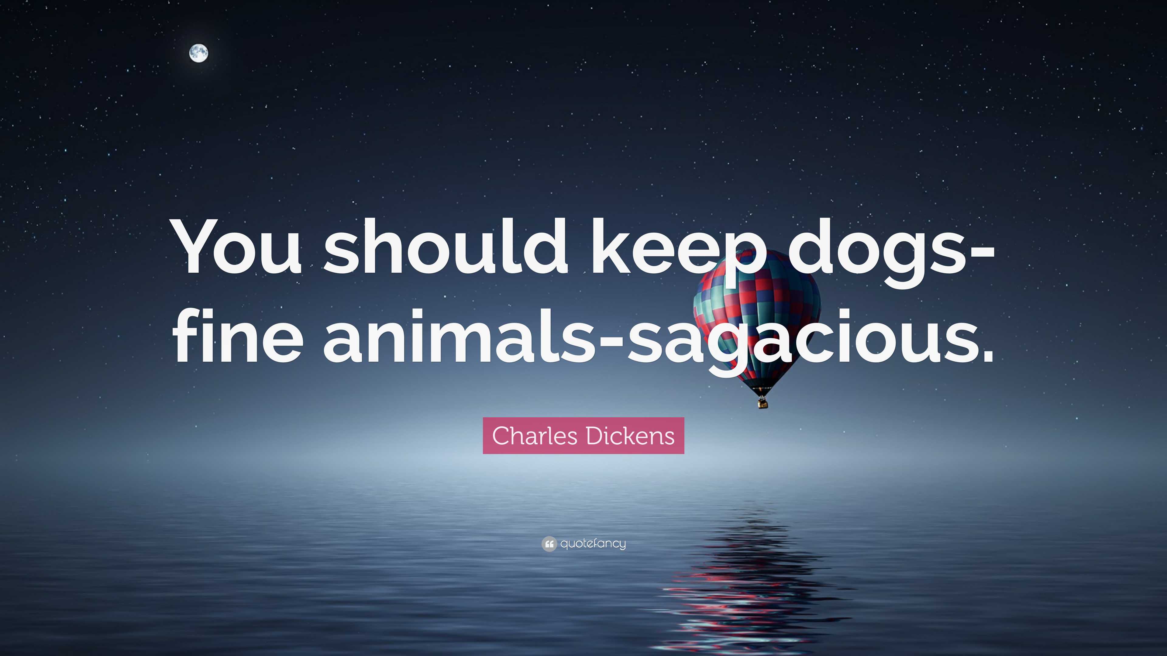 Charles Dickens Quote: “You should keep dogs-fine animals-sagacious.”