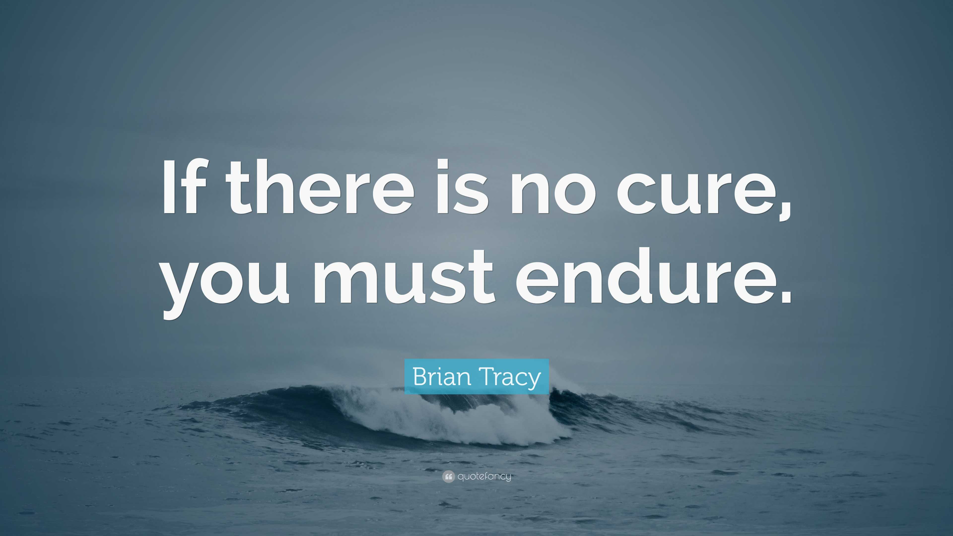 Brian Tracy Quote: “If there is no cure, you must endure.”