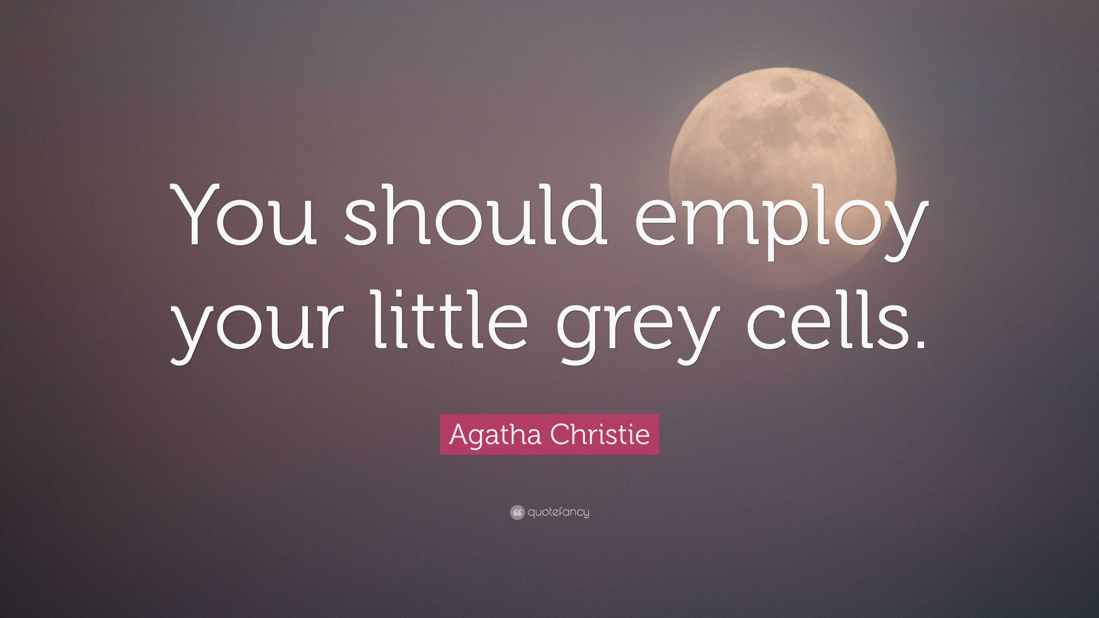 Agatha Christie Quote: “You should employ your little grey cells.”
