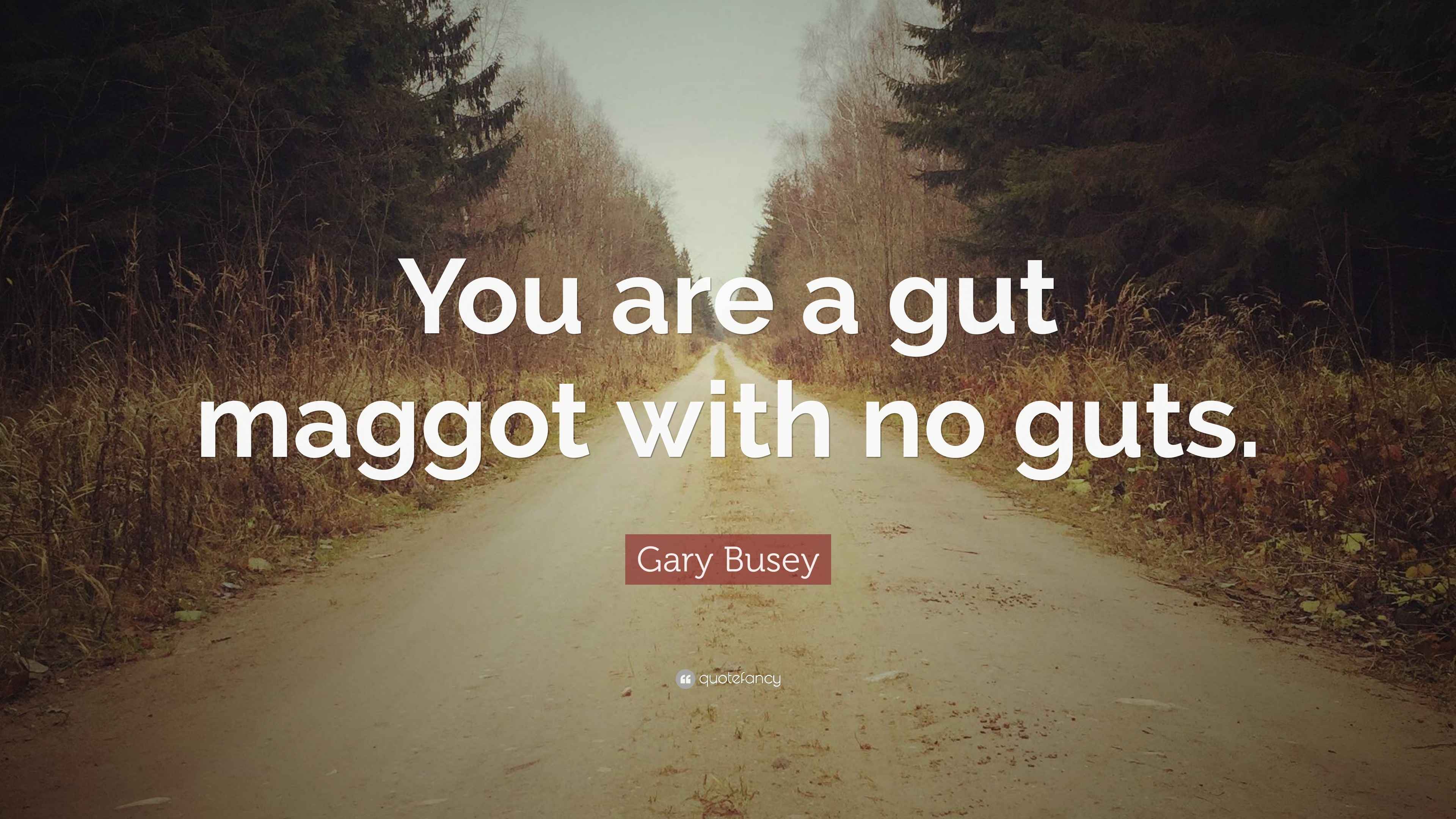 Gary Busey Quote: “You are a gut maggot with no guts.”