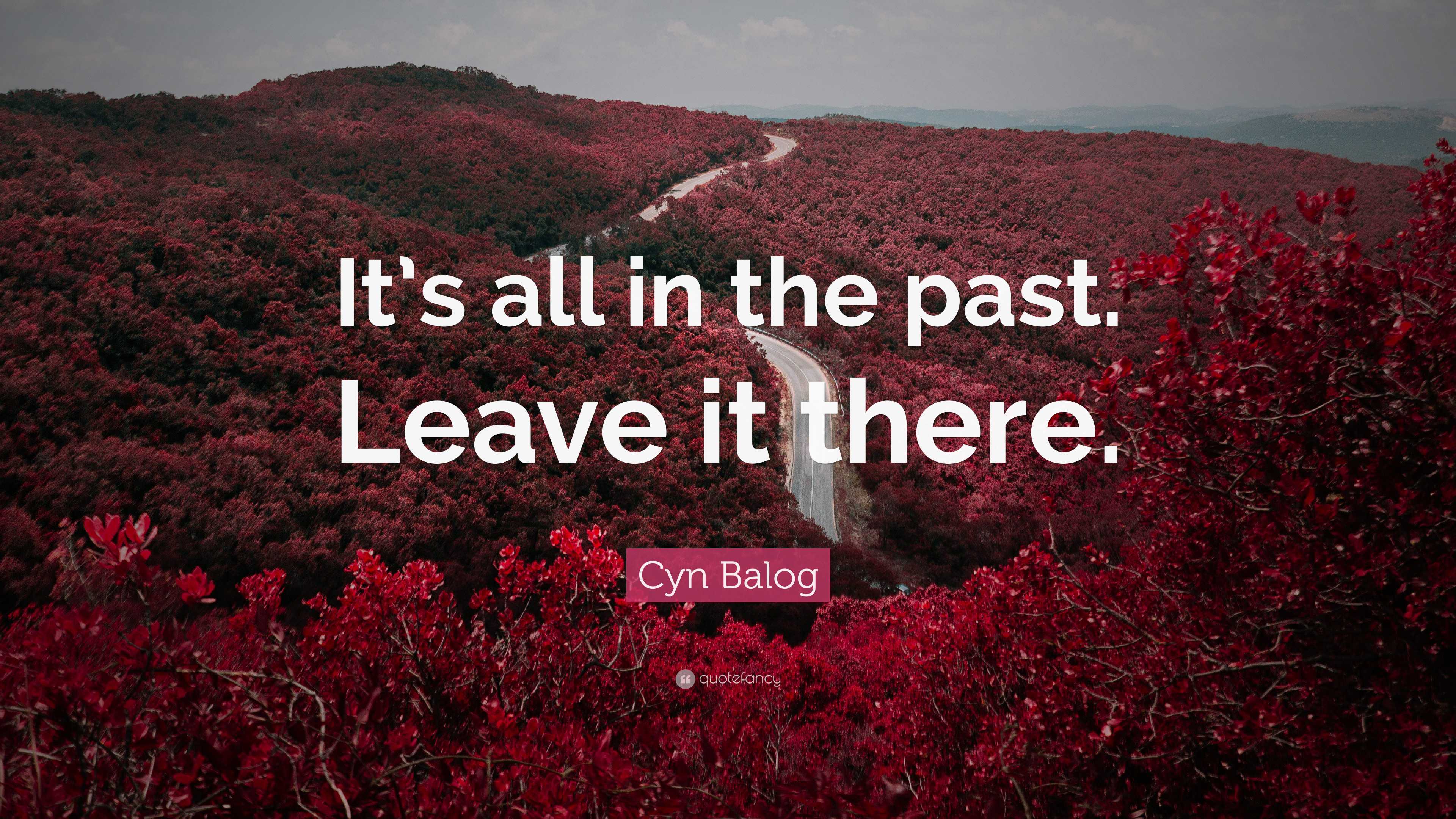 Cyn Balog Quote: “It’s all in the past. Leave it there.”