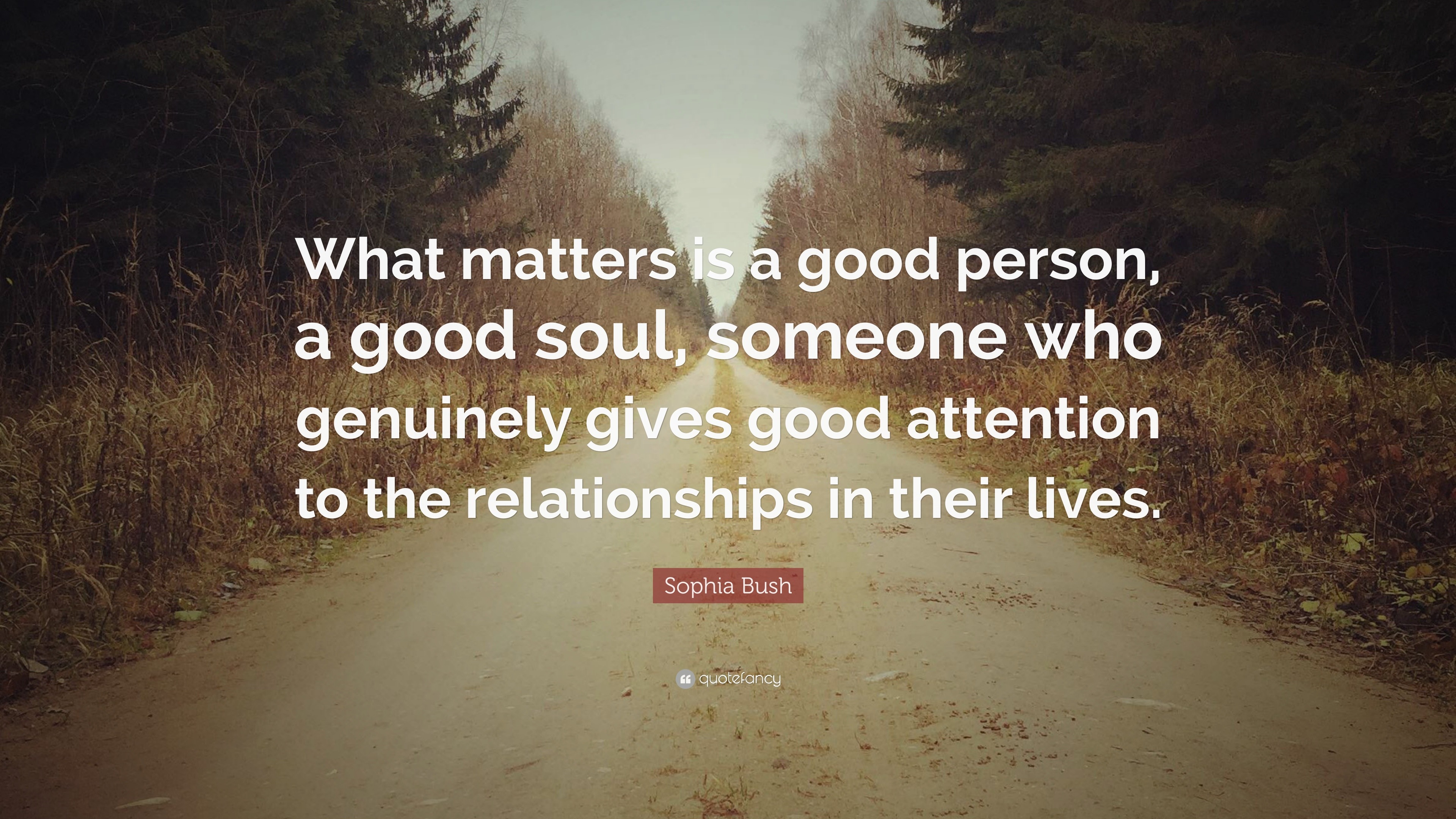 Sophia Bush Quote: “What matters is a good person, a good soul, someone ...