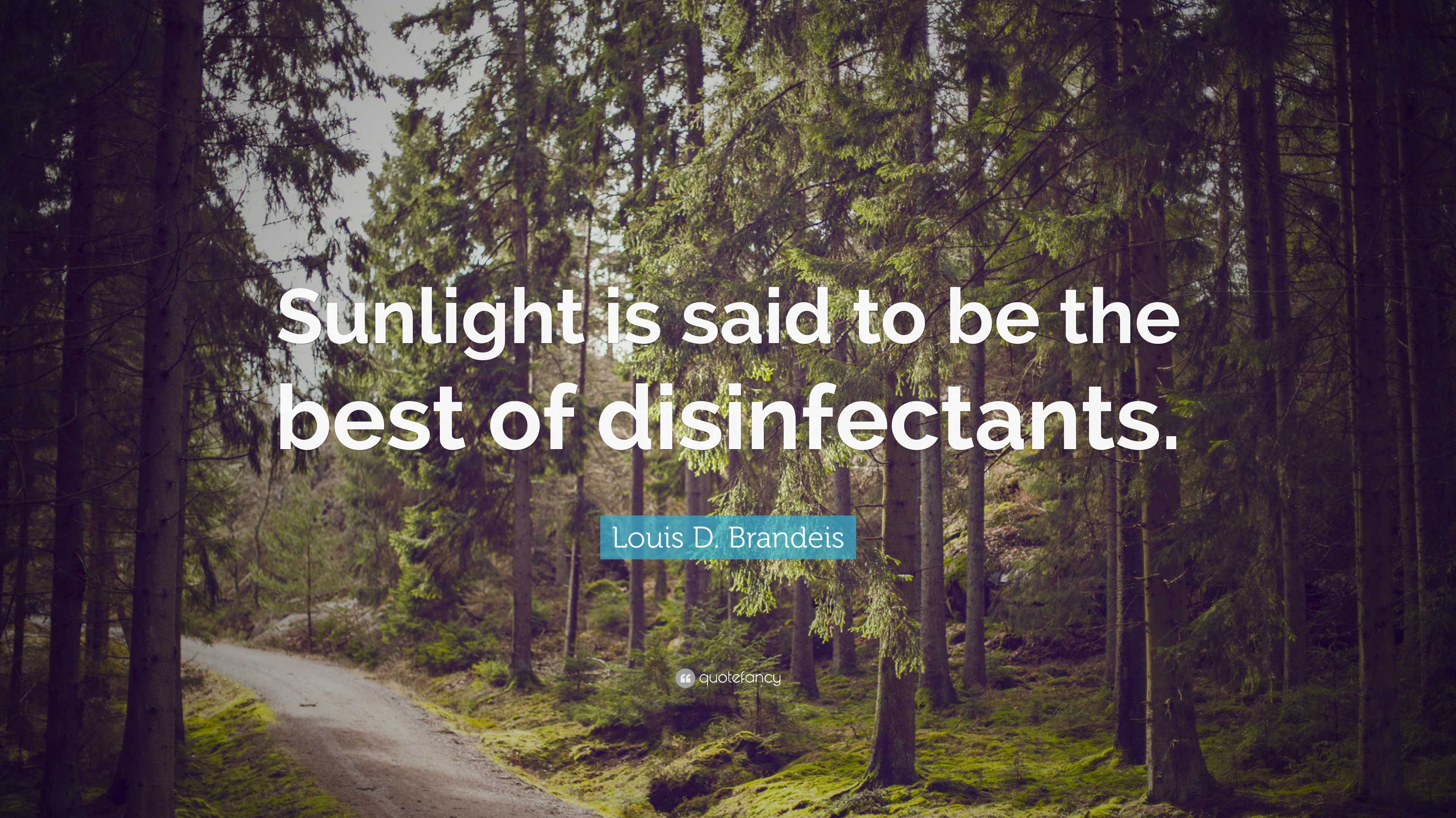 Louis D. Brandeis Quote: “Sunlight is said to be the best of ...