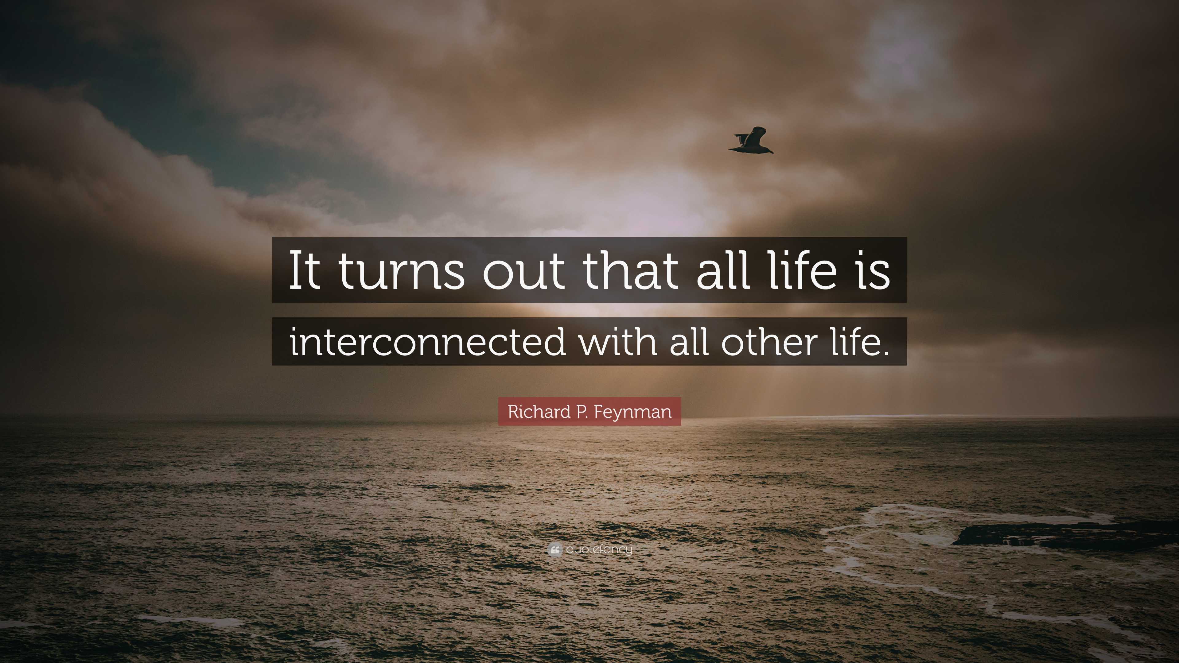 Richard P. Feynman Quote: “It turns out that all life is interconnected ...