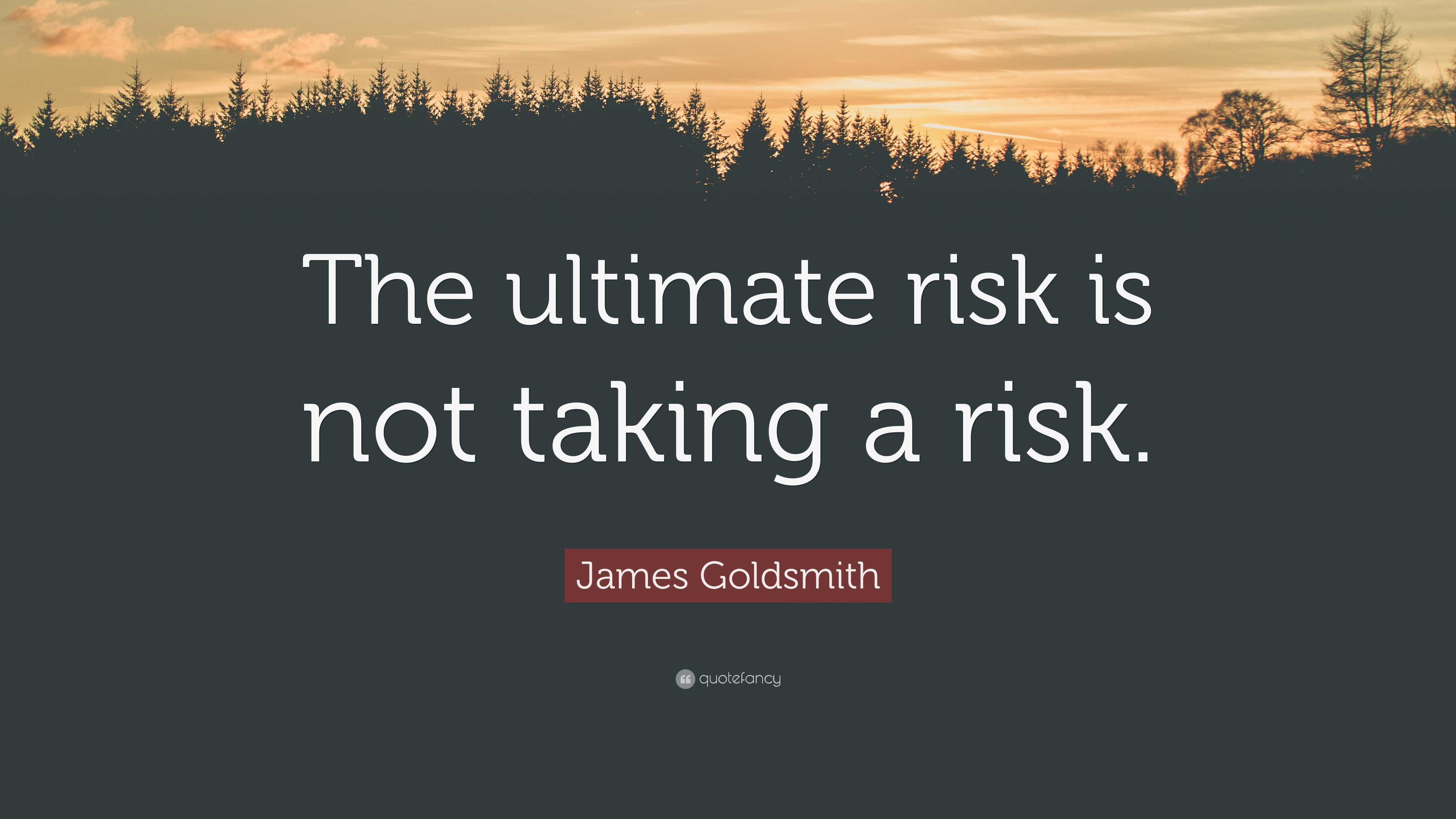 James Goldsmith Quote: “The ultimate risk is not taking a risk.”