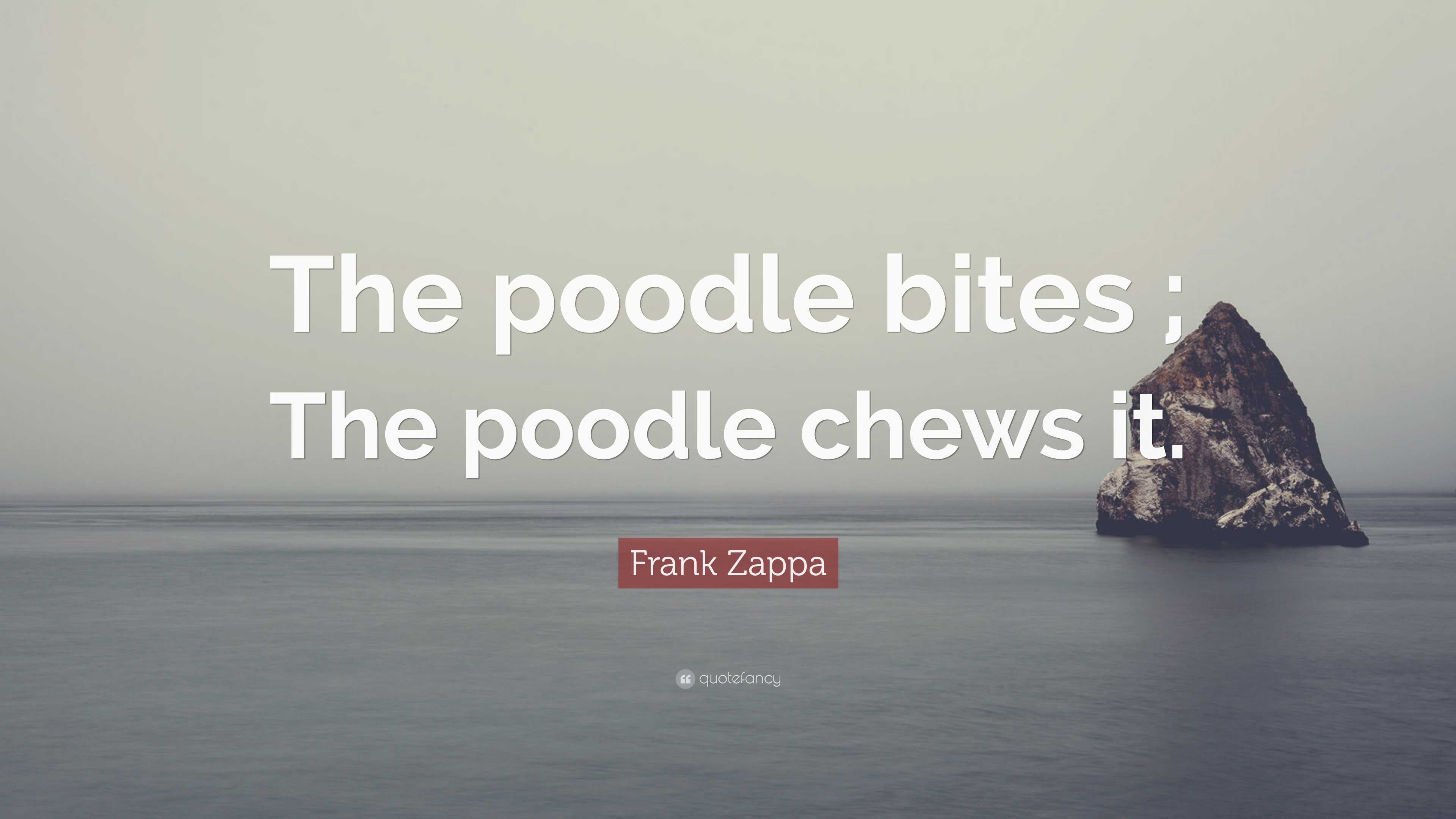 Frank Zappa Quote: “The poodle bites ; The poodle chews it.”