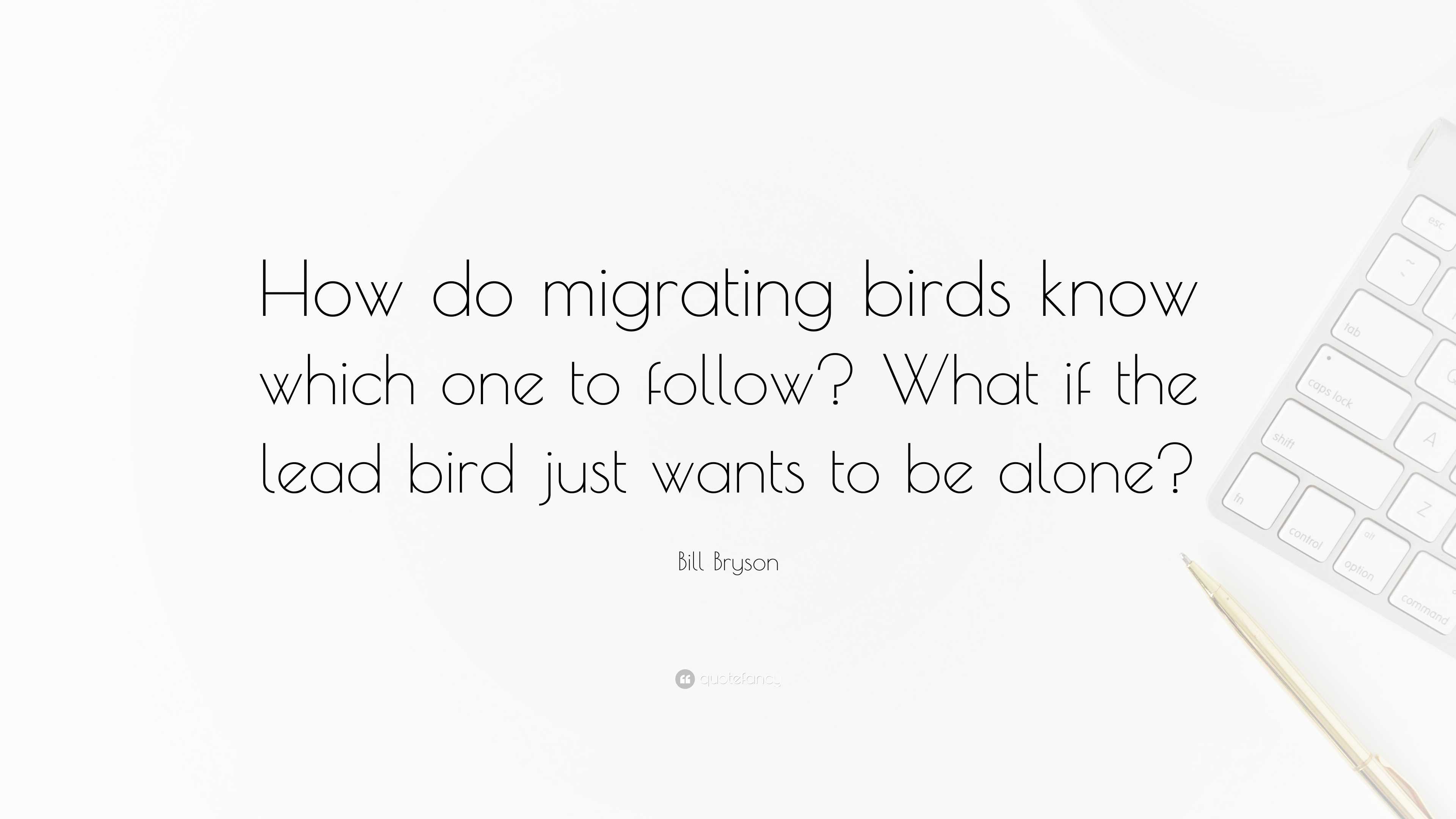 Bill Bryson Quote: “How do migrating birds know which one to follow ...