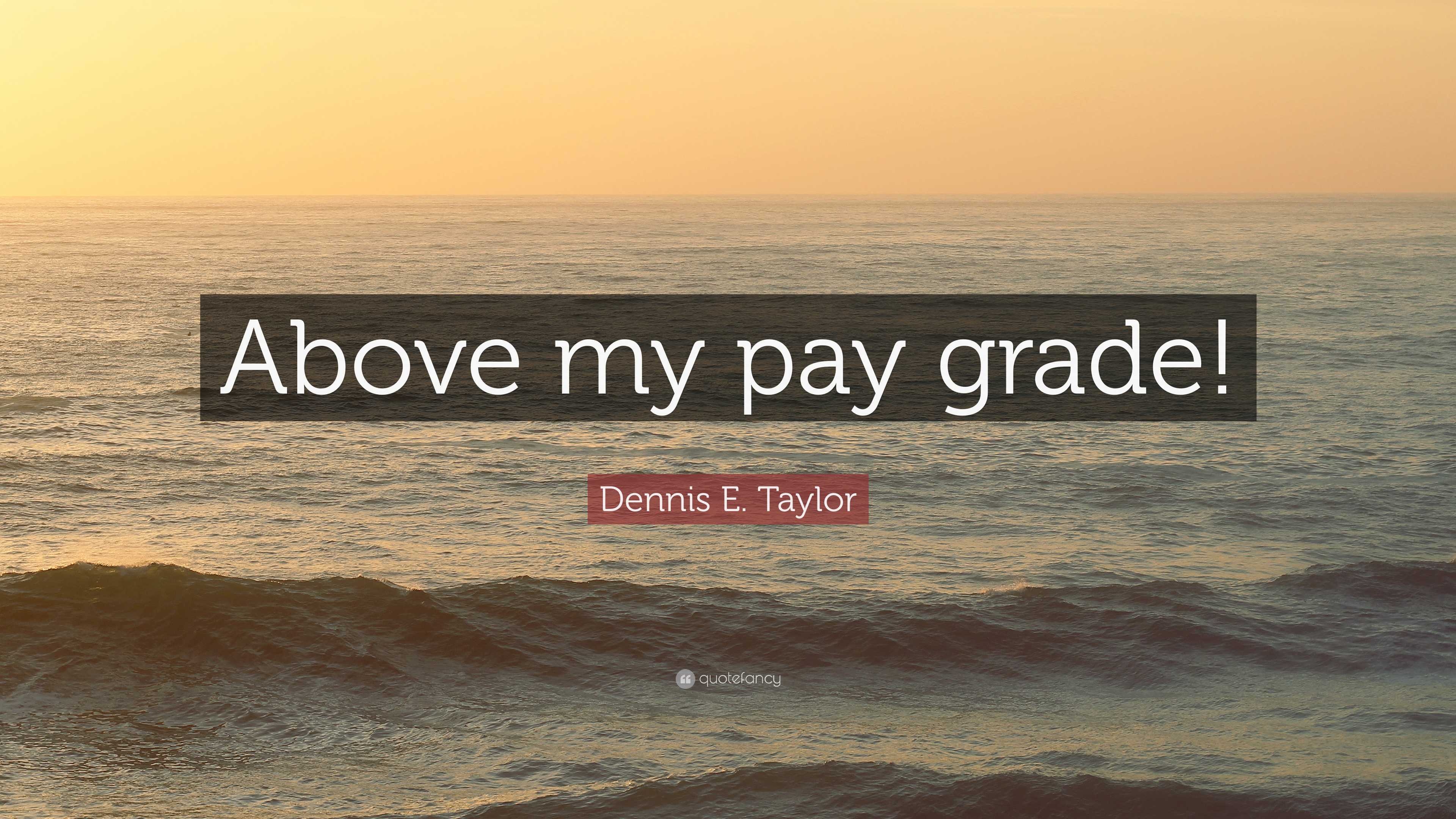 Dennis E. Taylor Quote: “Above my pay grade!”