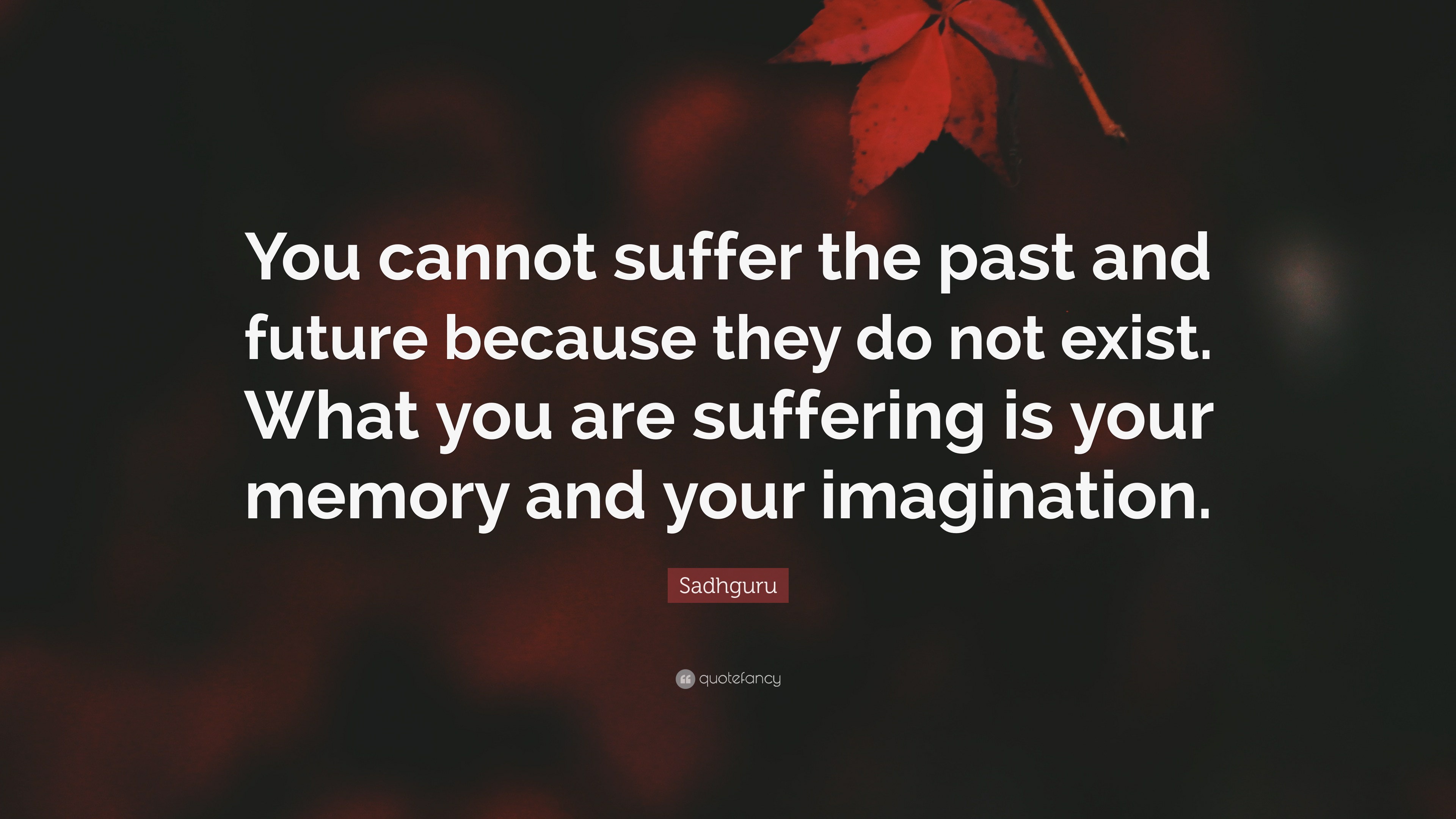 Sadhguru Quote: “You cannot suffer the past and future because they do ...