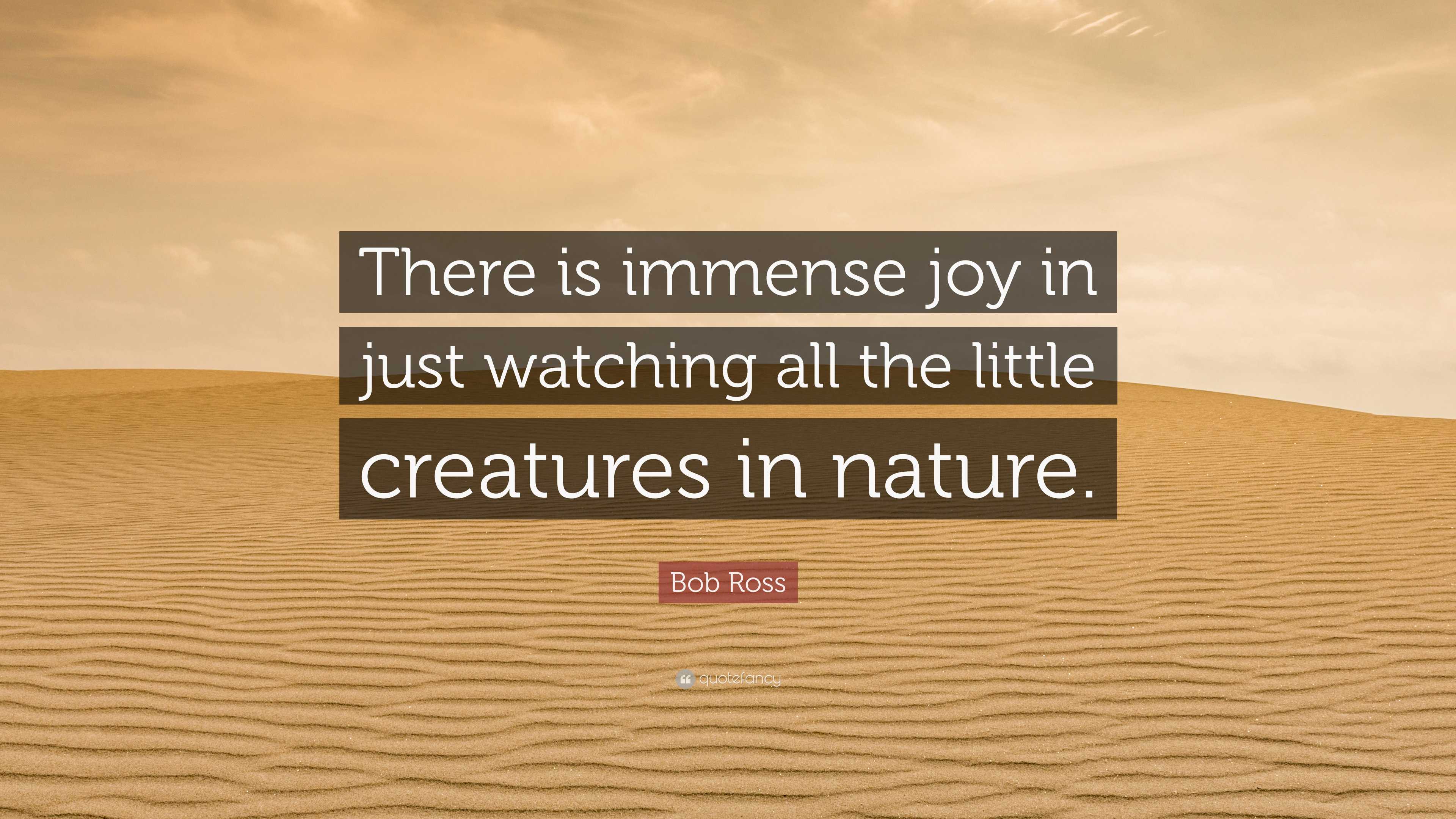 Bob Ross Quote: “There is immense joy in just watching all the little ...