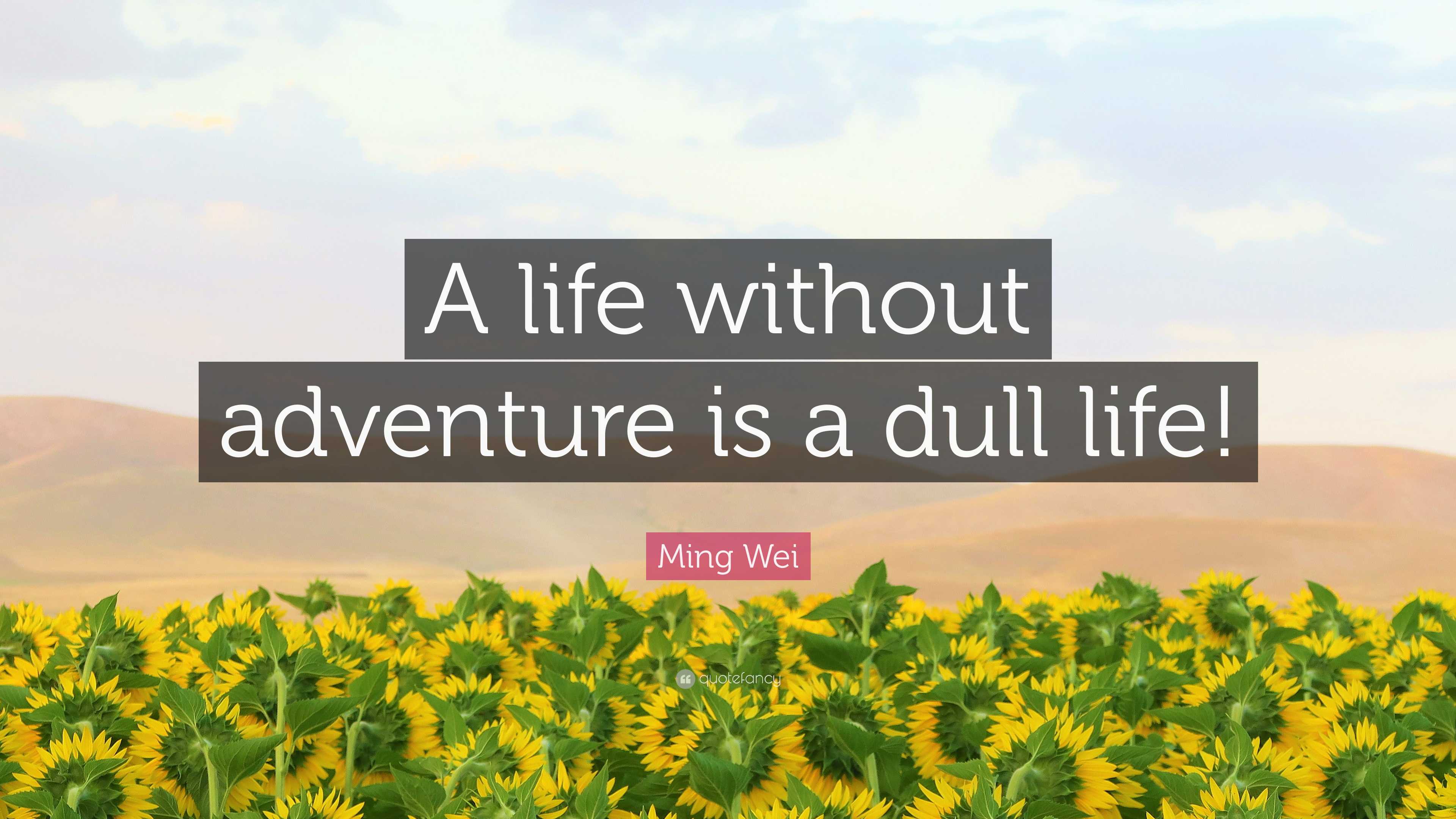 Ming Wei Quote: “A life without adventure is a dull life!”