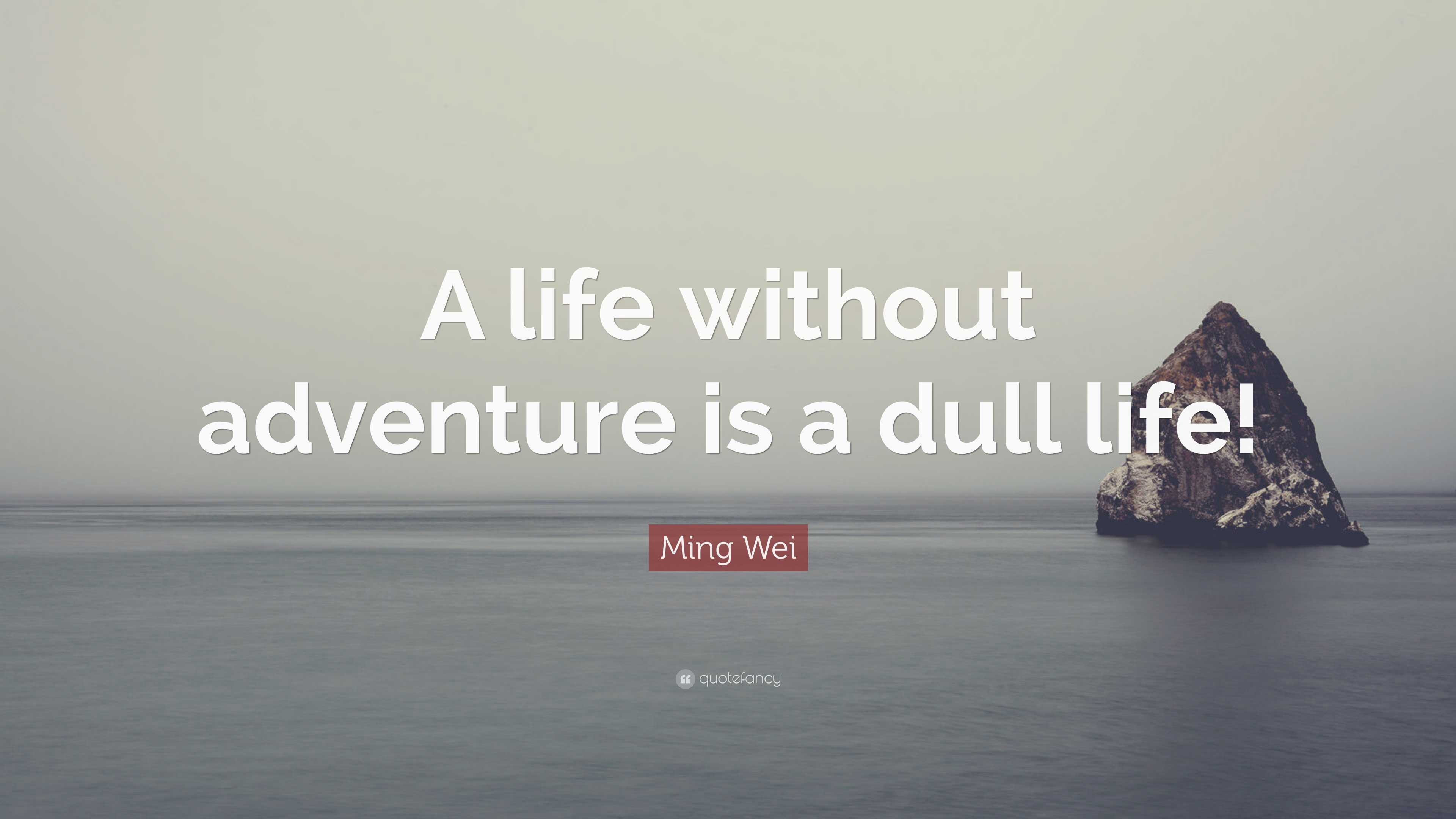 Ming Wei Quote: “A life without adventure is a dull life!”