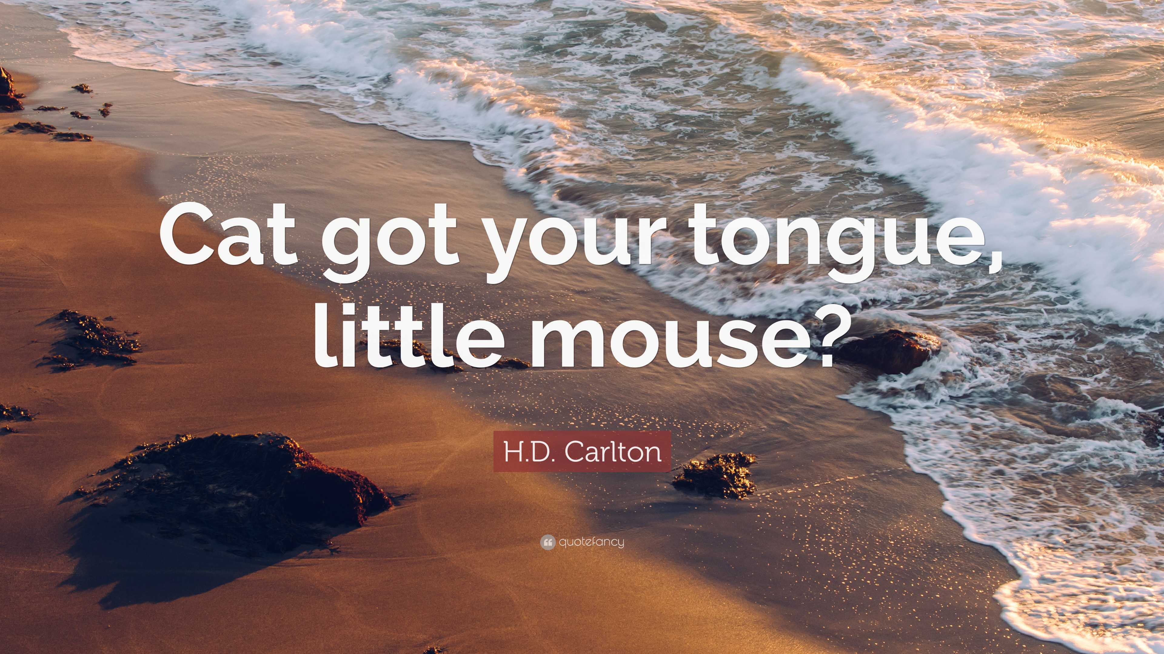 H.D. Carlton Quote: “Cat got your tongue, little mouse?”