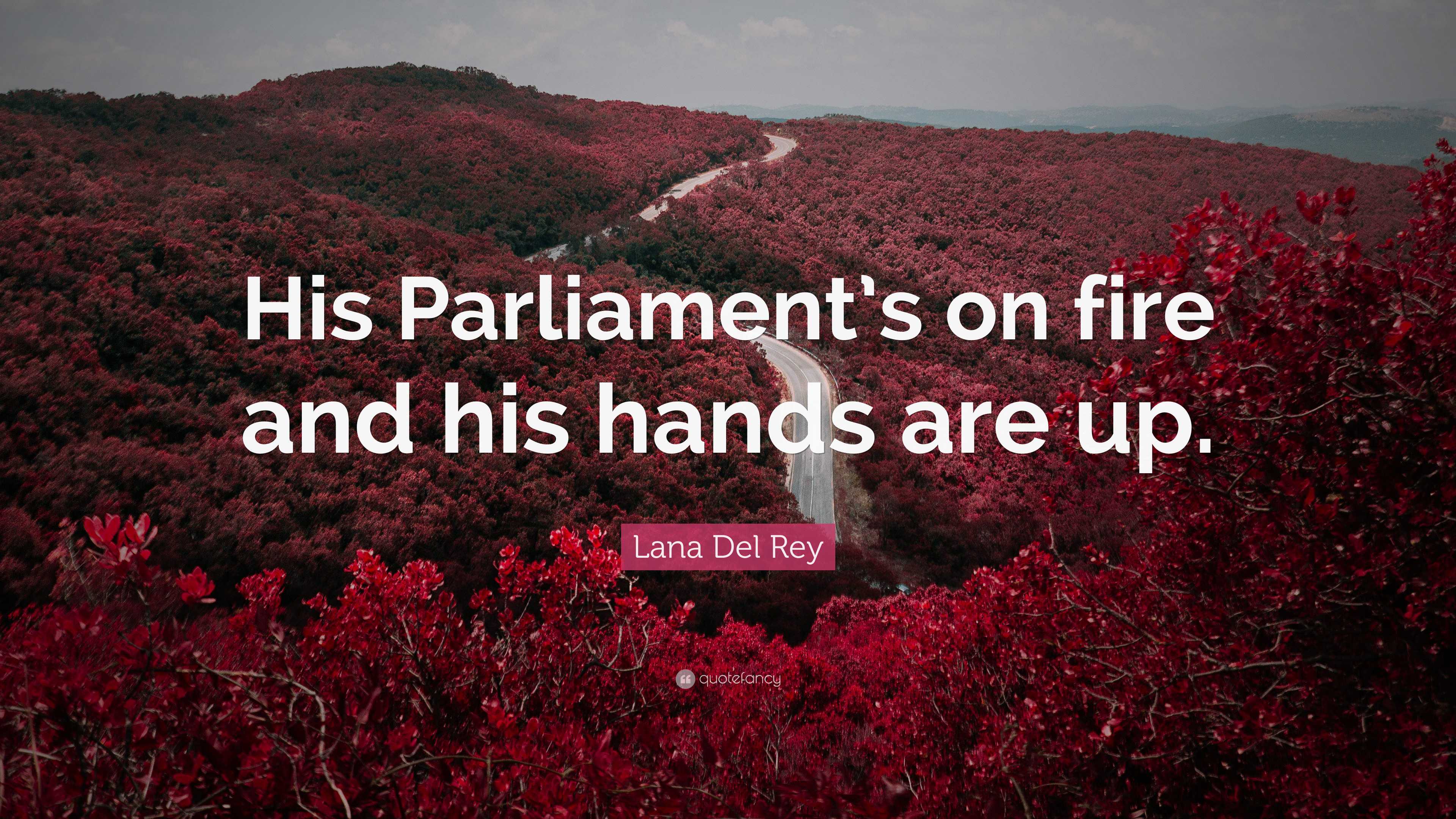 Lana Del Rey Quote: “His Parliament’s on fire and his hands are up.”