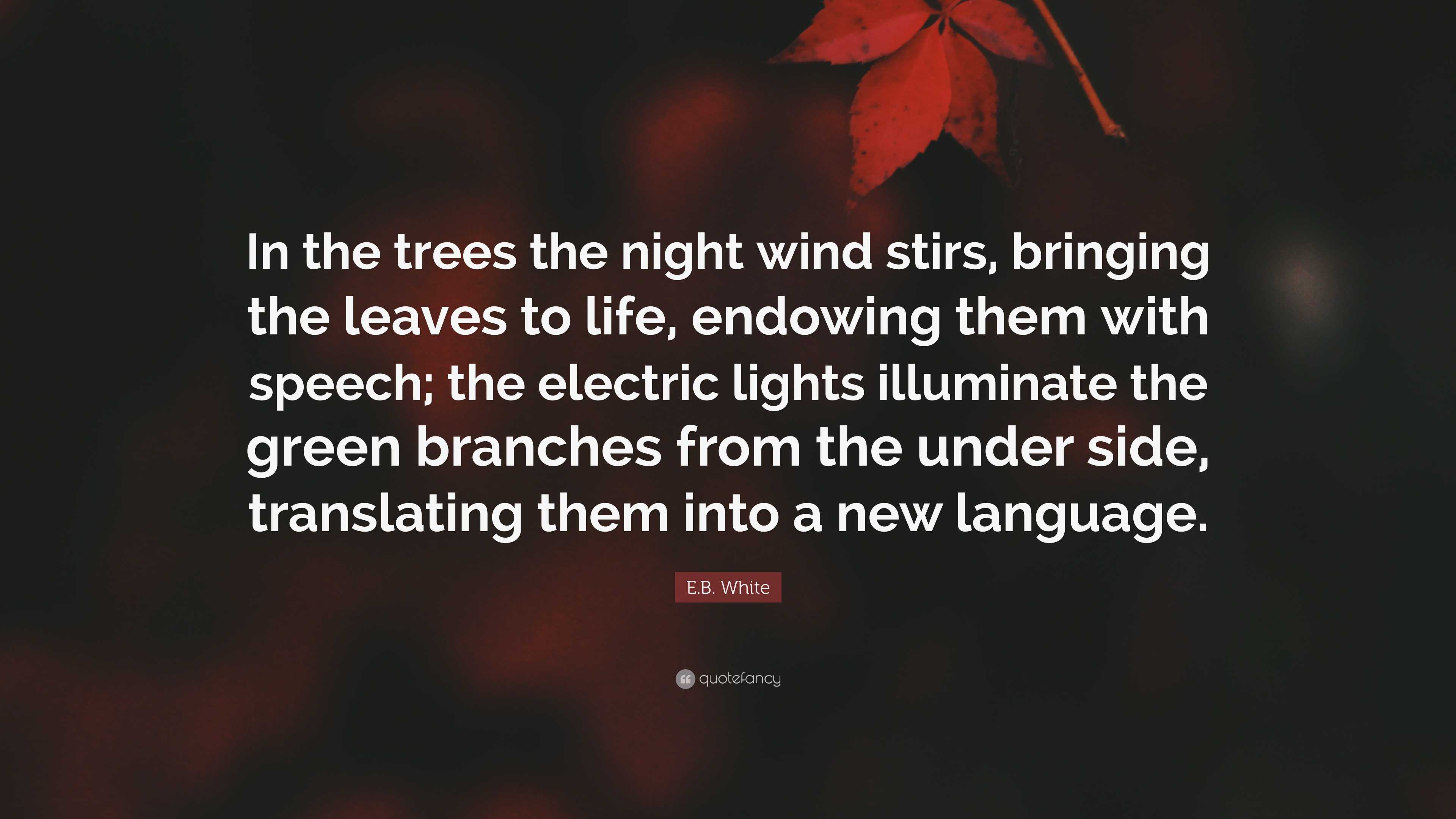 E.B. White Quote: “In the trees the night wind stirs, bringing the ...