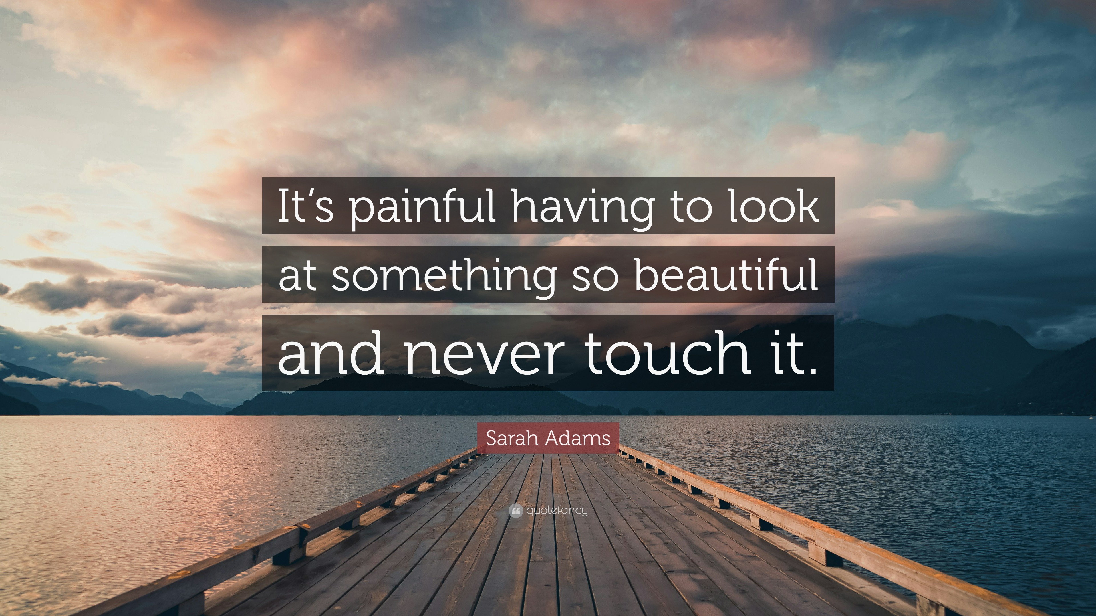 Sarah Adams Quote: “It’s painful having to look at something so ...