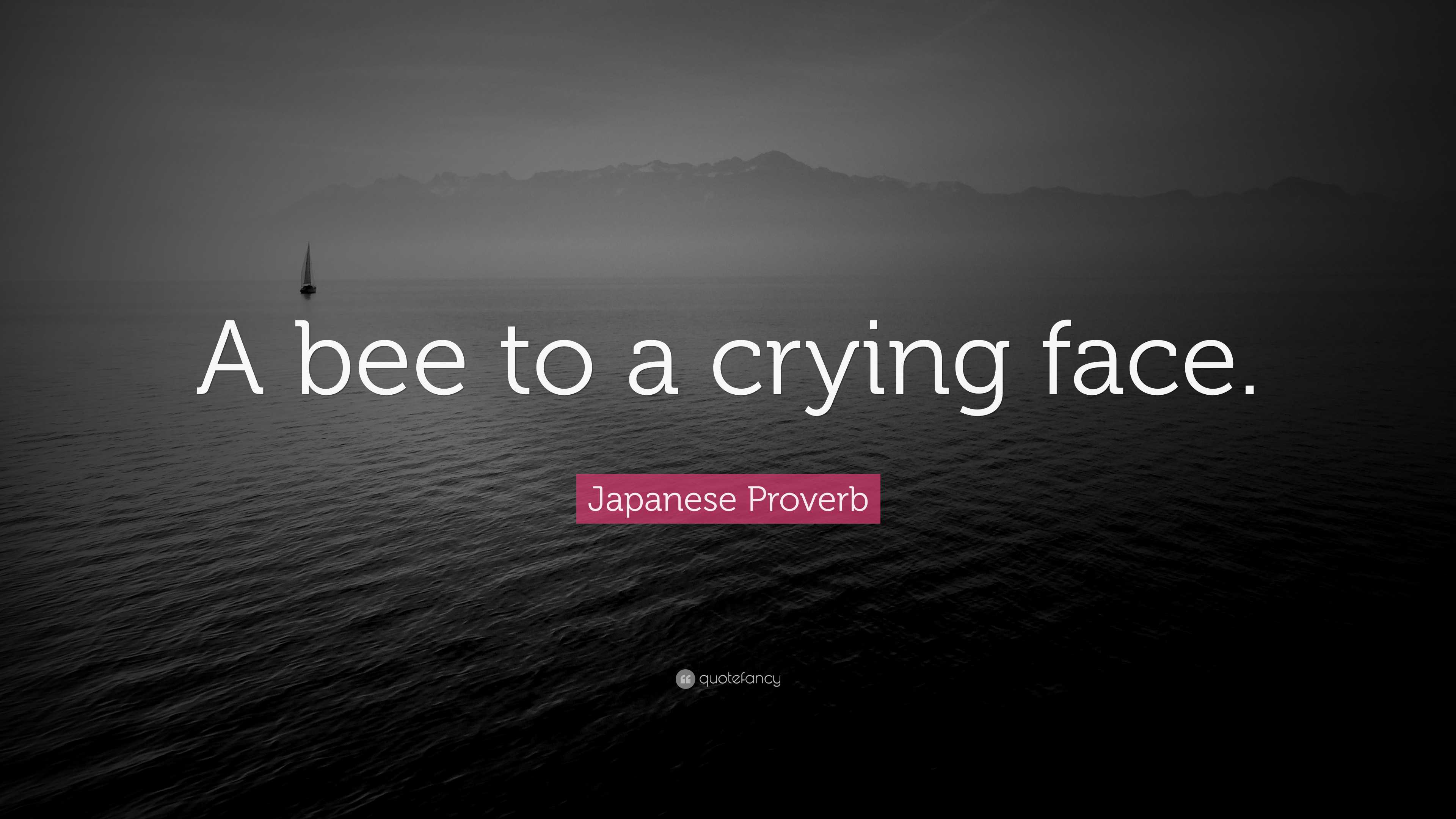 Japanese Proverb Quote: “A bee to a crying face.”