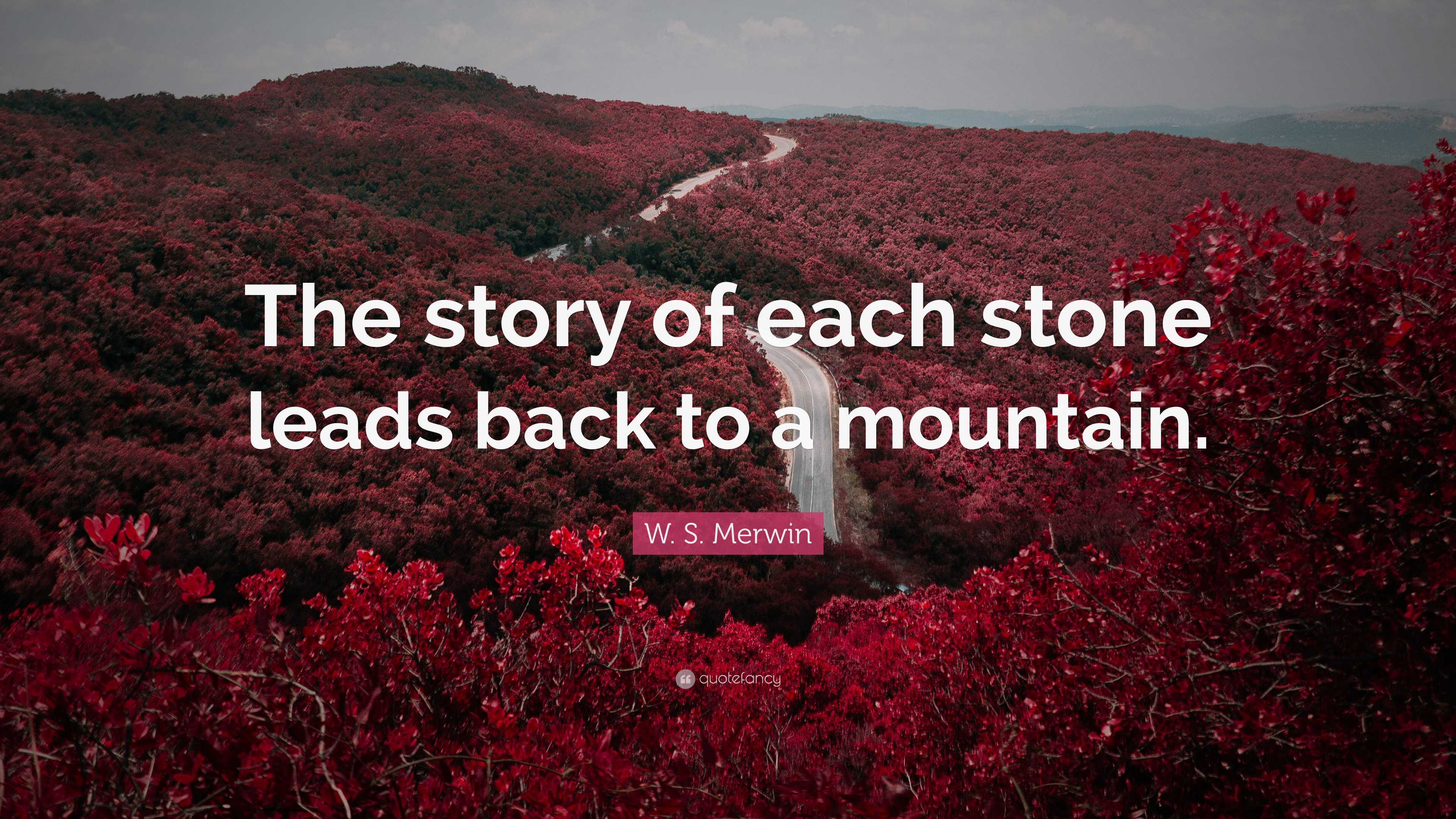 W. S. Merwin Quote: “The story of each stone leads back to a mountain.”
