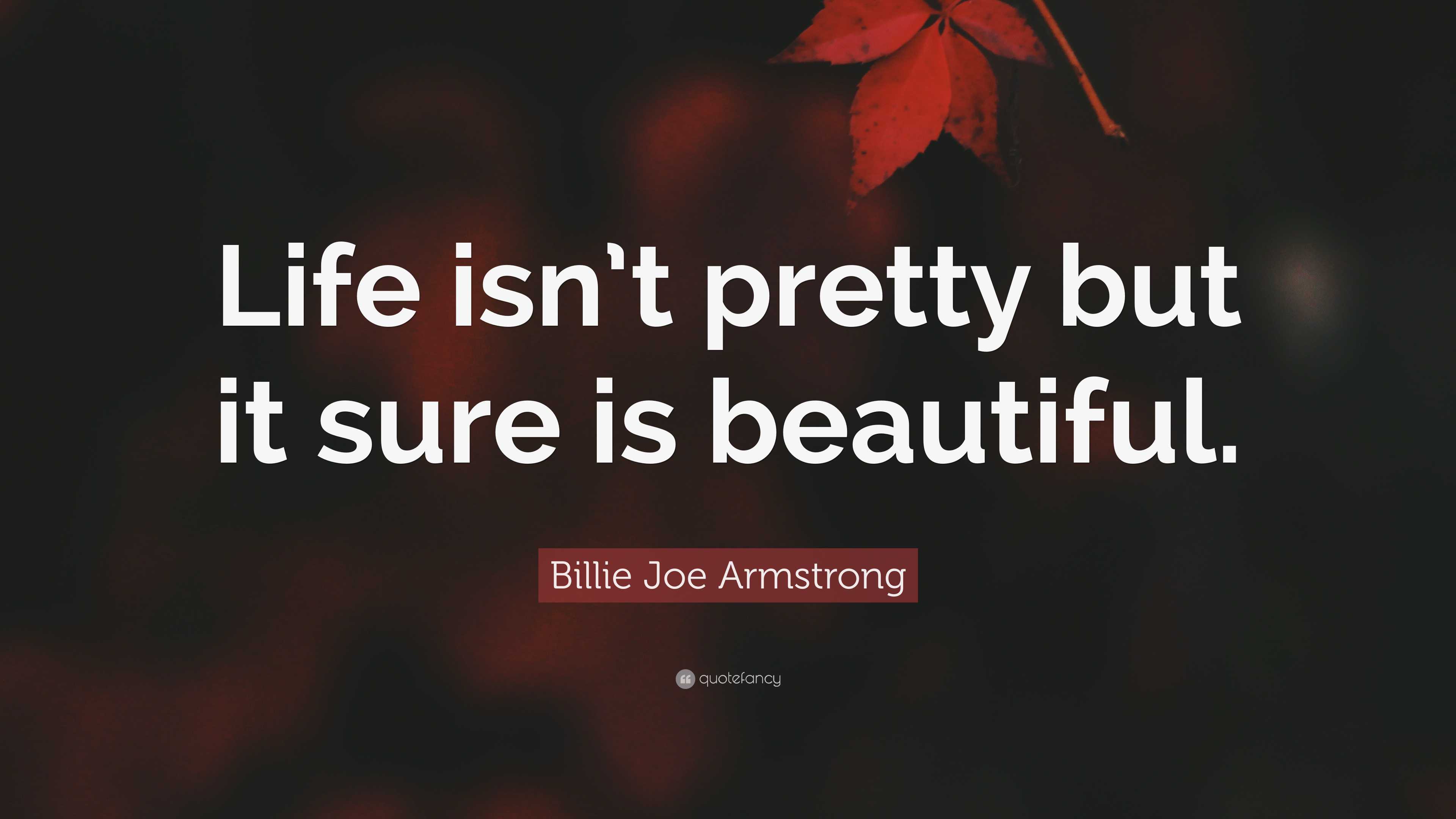 Billie Joe Armstrong Quote: “Life isn’t pretty but it sure is beautiful.”