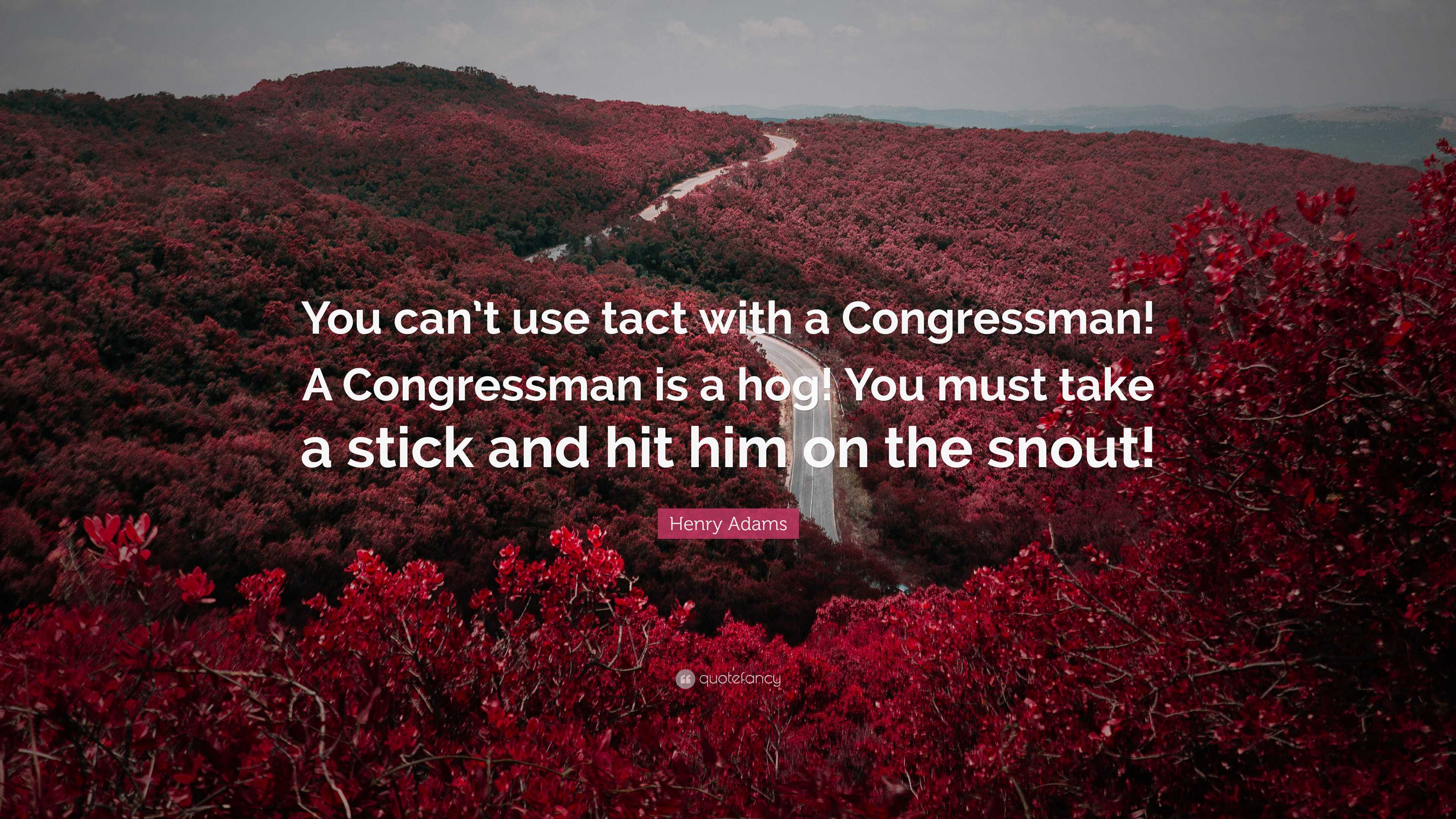 Henry Adams Quote: “You can’t use tact with a Congressman! A ...
