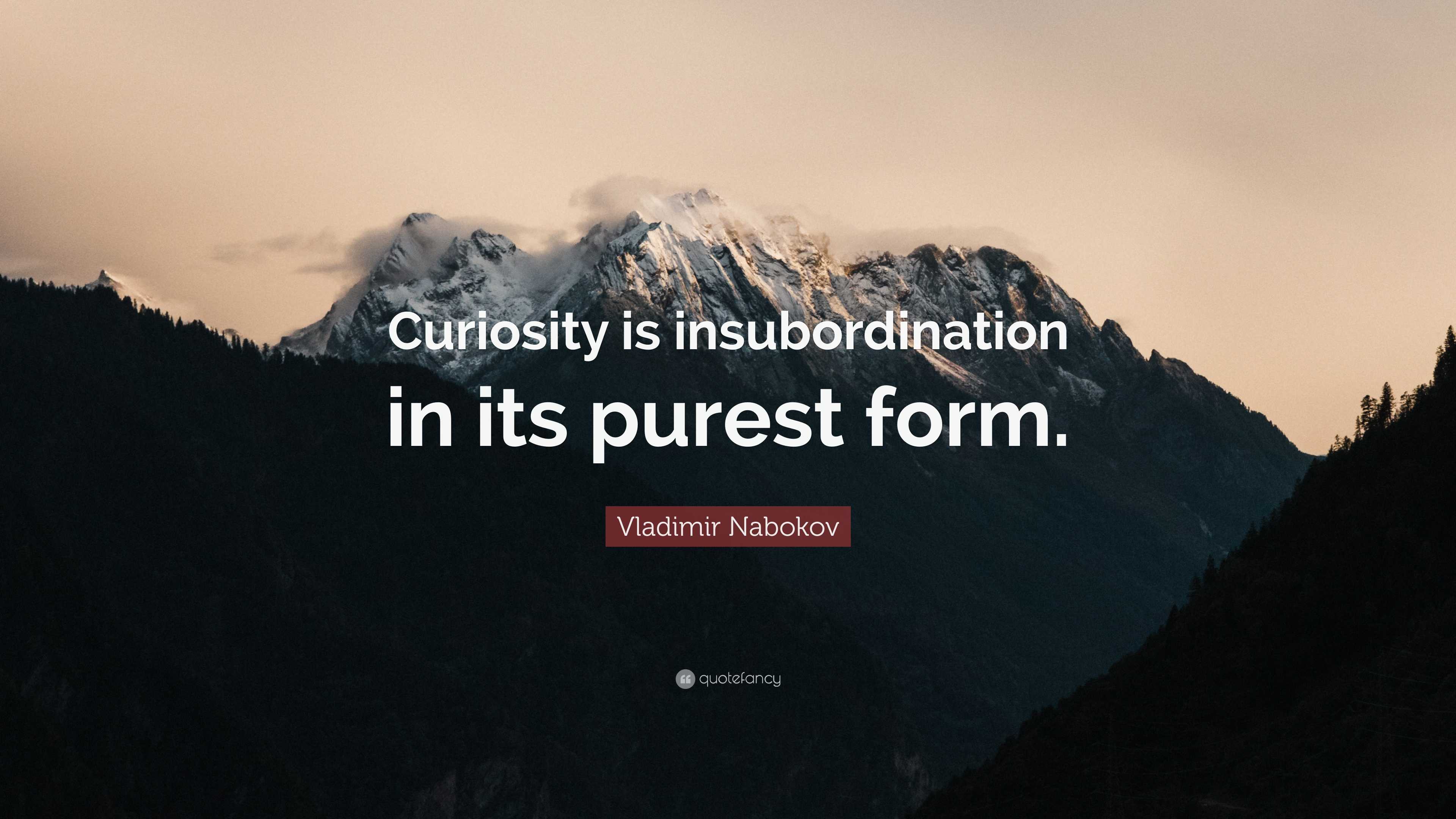 Vladimir Nabokov Quote: “Curiosity is insubordination in its purest form.”