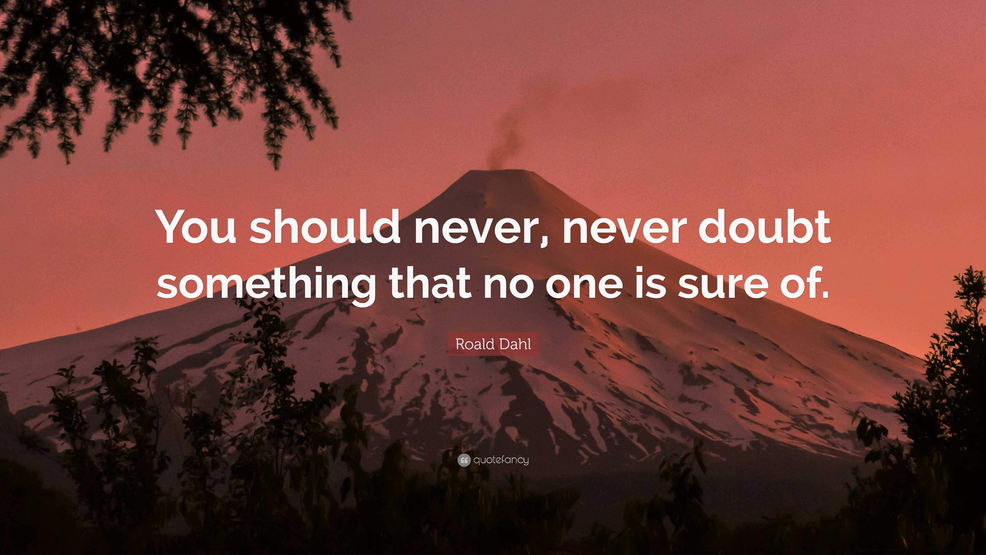 Roald Dahl Quote: “You should never, never doubt something that no one ...