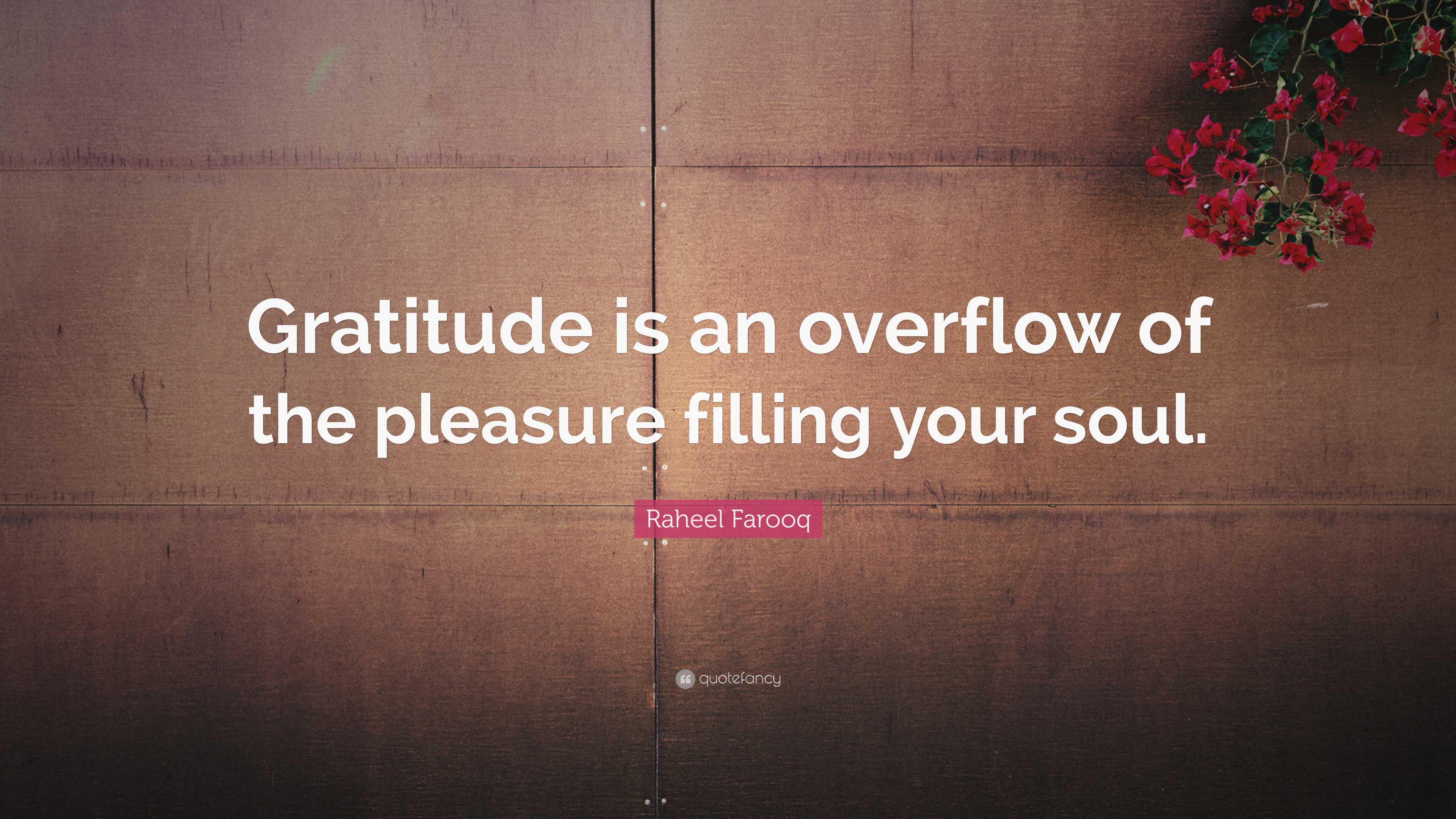 Raheel Farooq Quote: “Gratitude is an overflow of the pleasure filling your soul.”