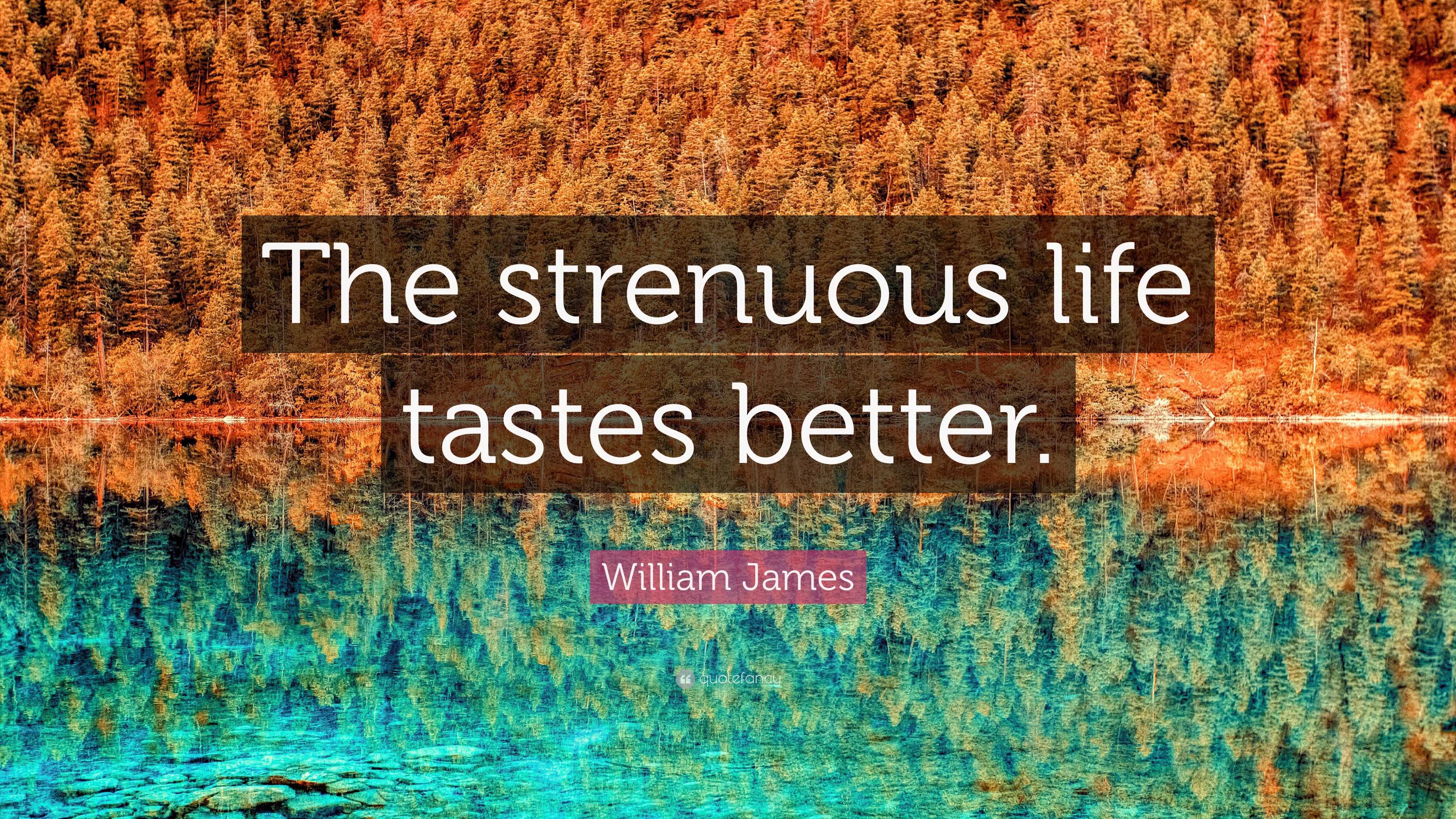William James Quote: “The strenuous life tastes better.”