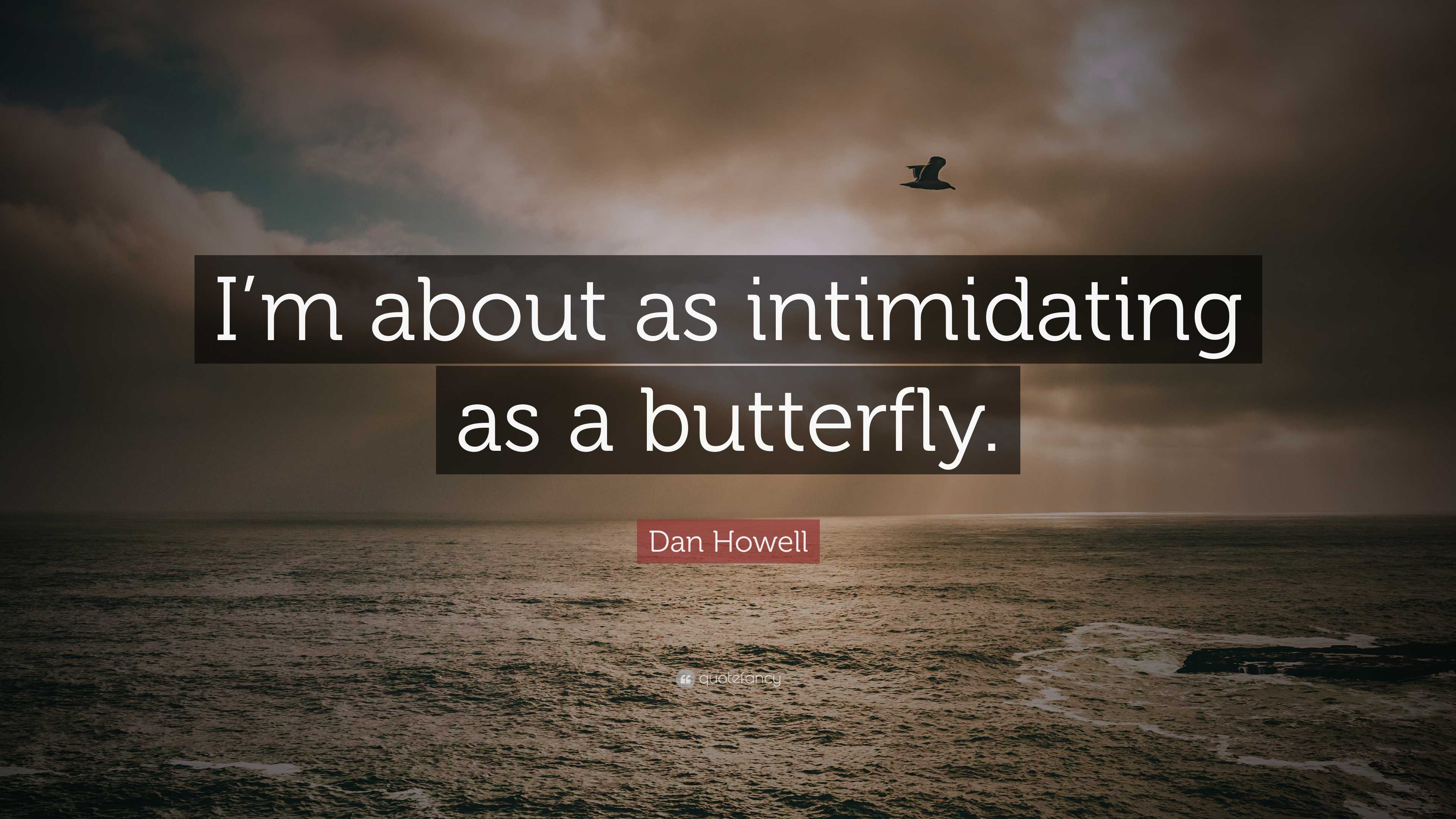 Dan Howell Quote: “I’m about as intimidating as a butterfly.”