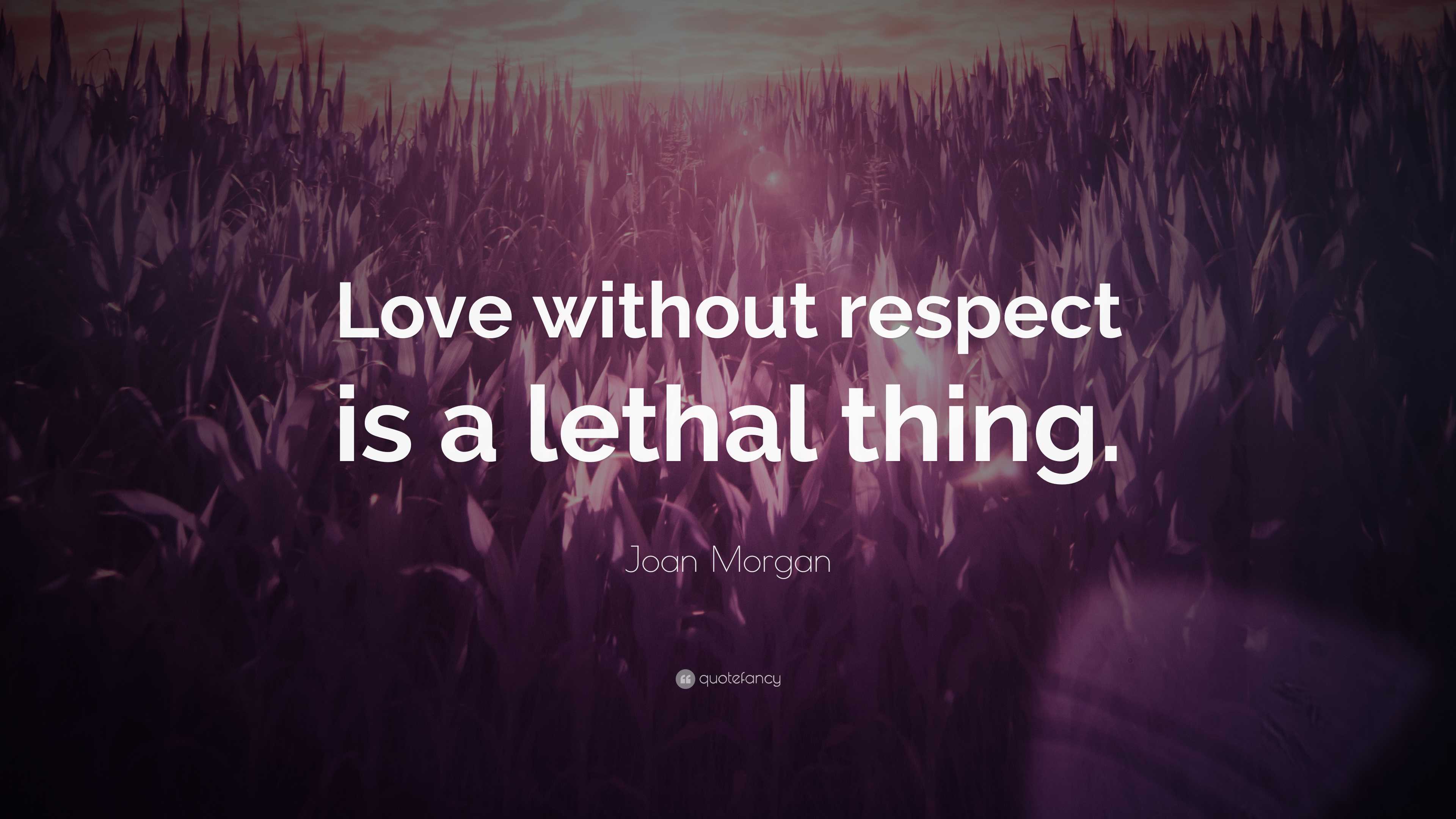 Joan Morgan Quote: “Love without respect is a lethal thing.”