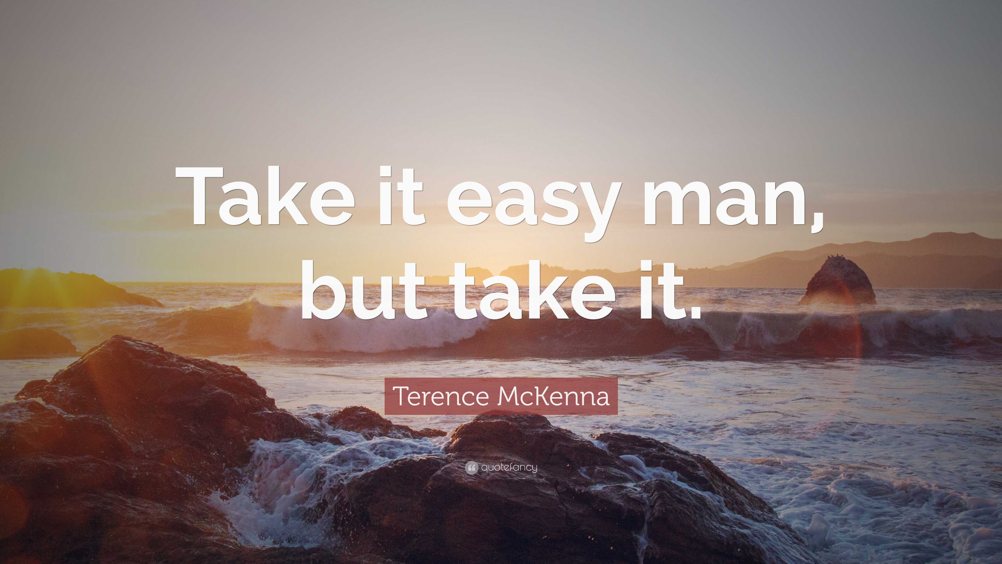 Terence McKenna Quote: “Take it easy man, but take it.”