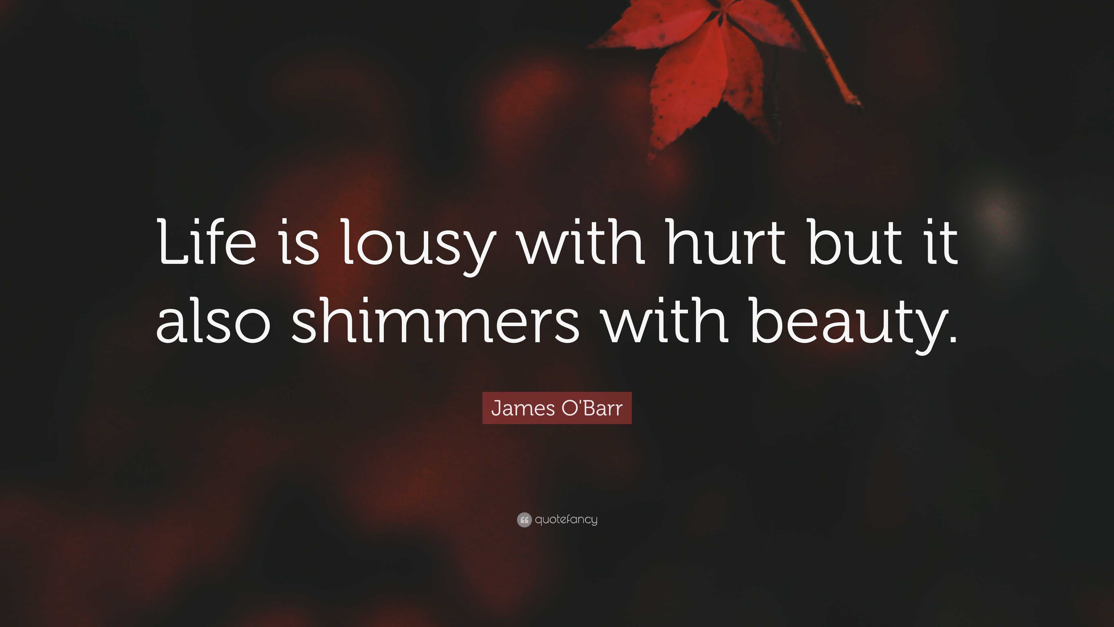 James O'Barr Quote: “Life is lousy with hurt but it also shimmers with ...