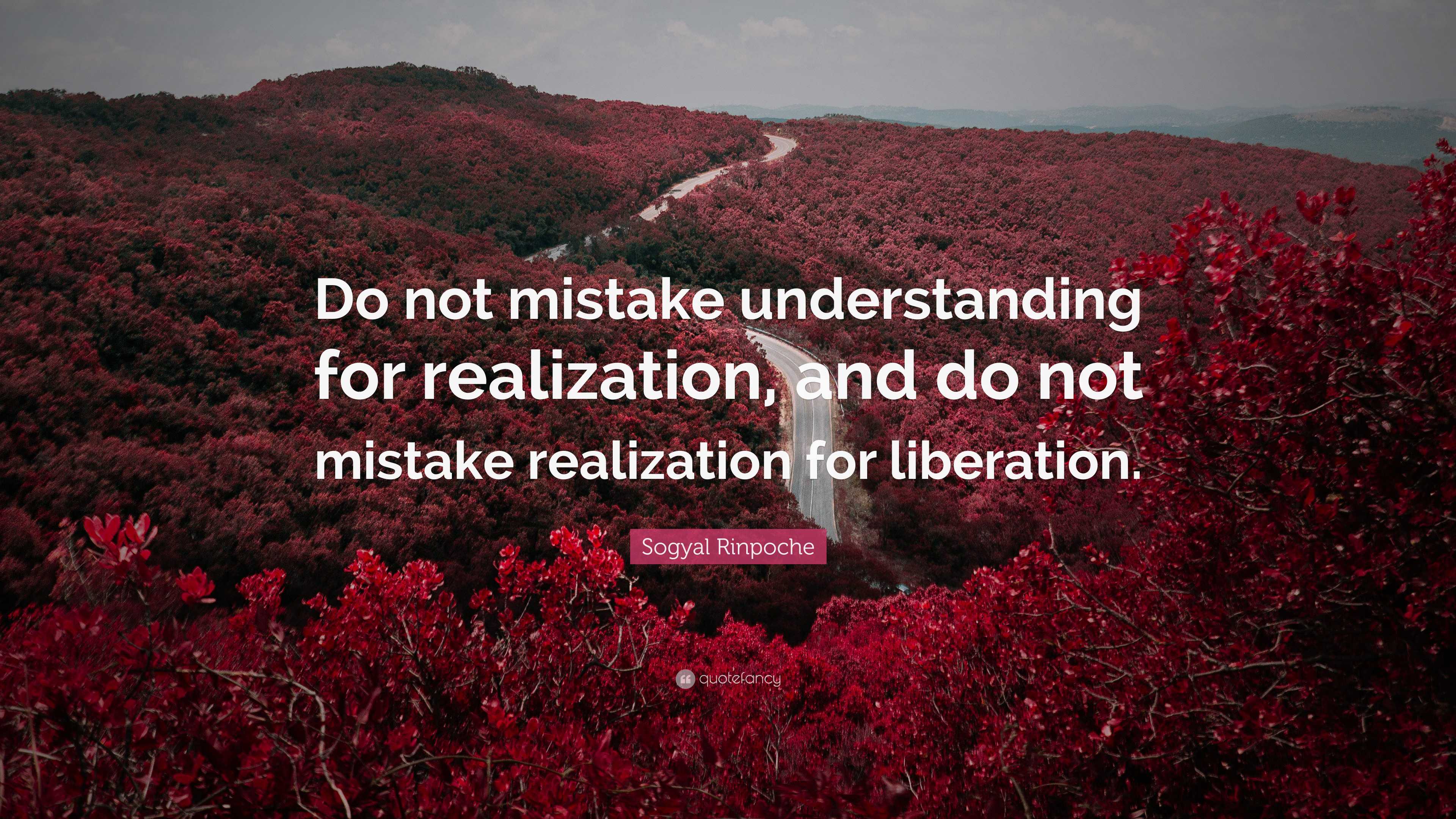 Sogyal Rinpoche Quote: “Do not mistake understanding for realization ...