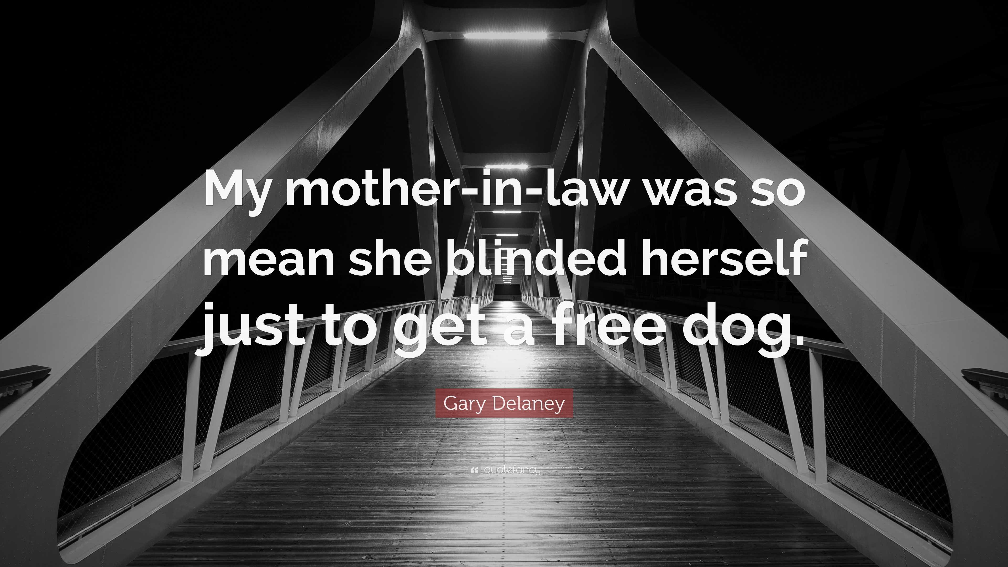 Gary Delaney Quote: “My mother-in-law was so mean she blinded herself ...