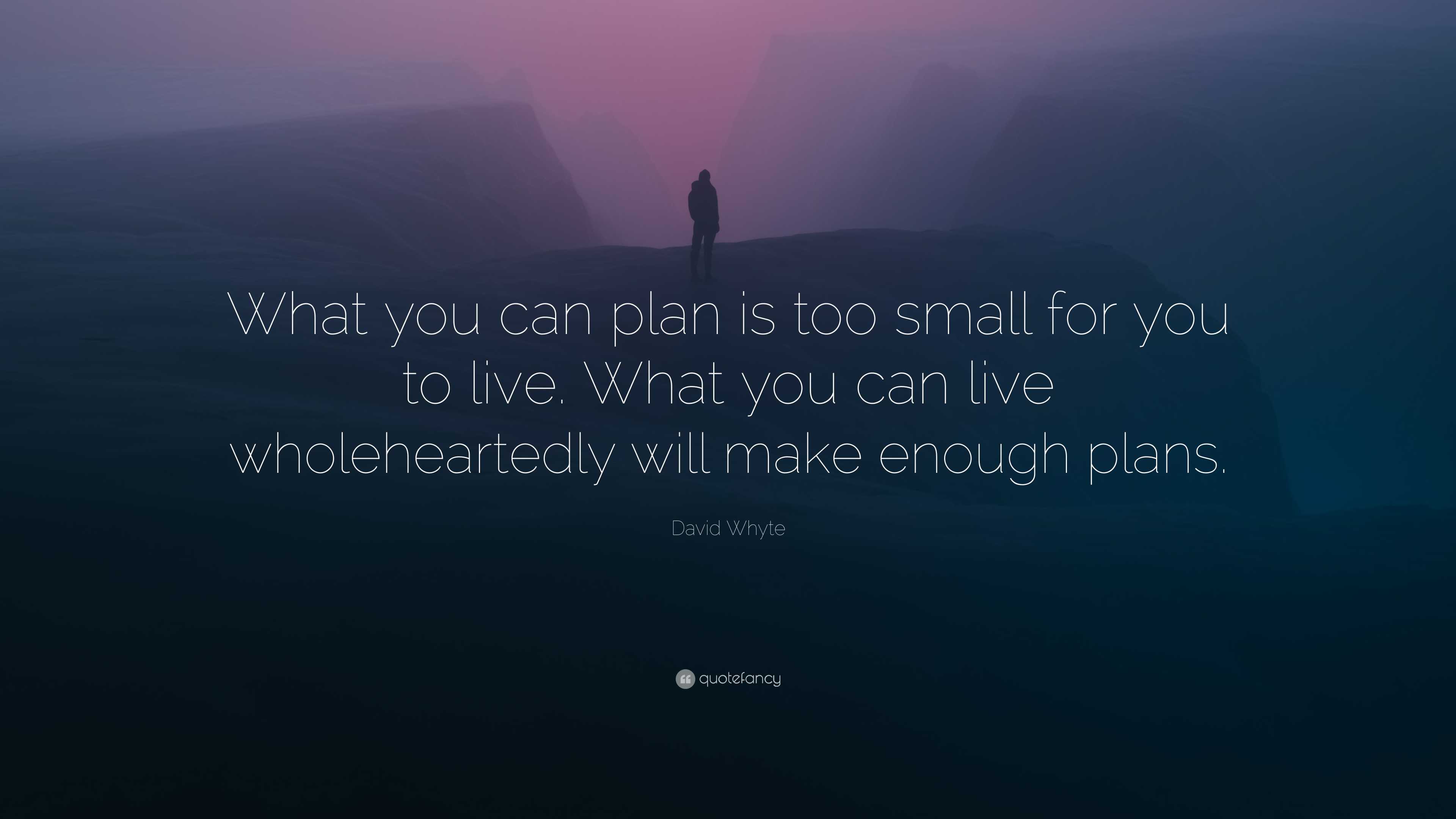 David Whyte Quote: “What you can plan is too small for you to live ...