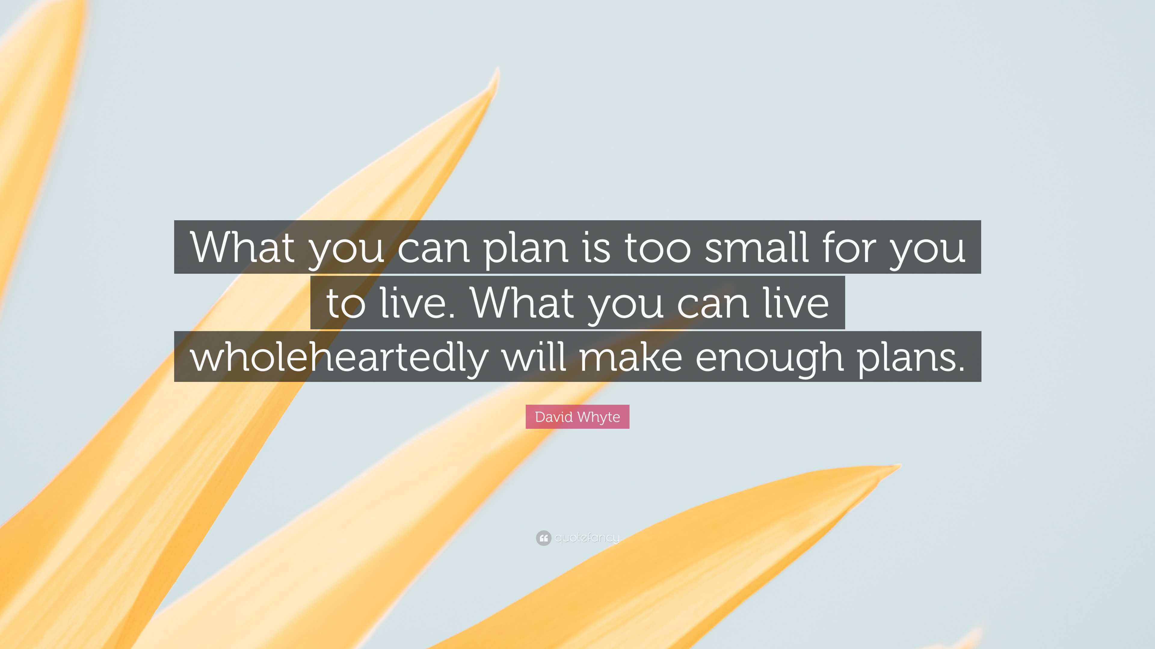 David Whyte Quote: “What you can plan is too small for you to live ...