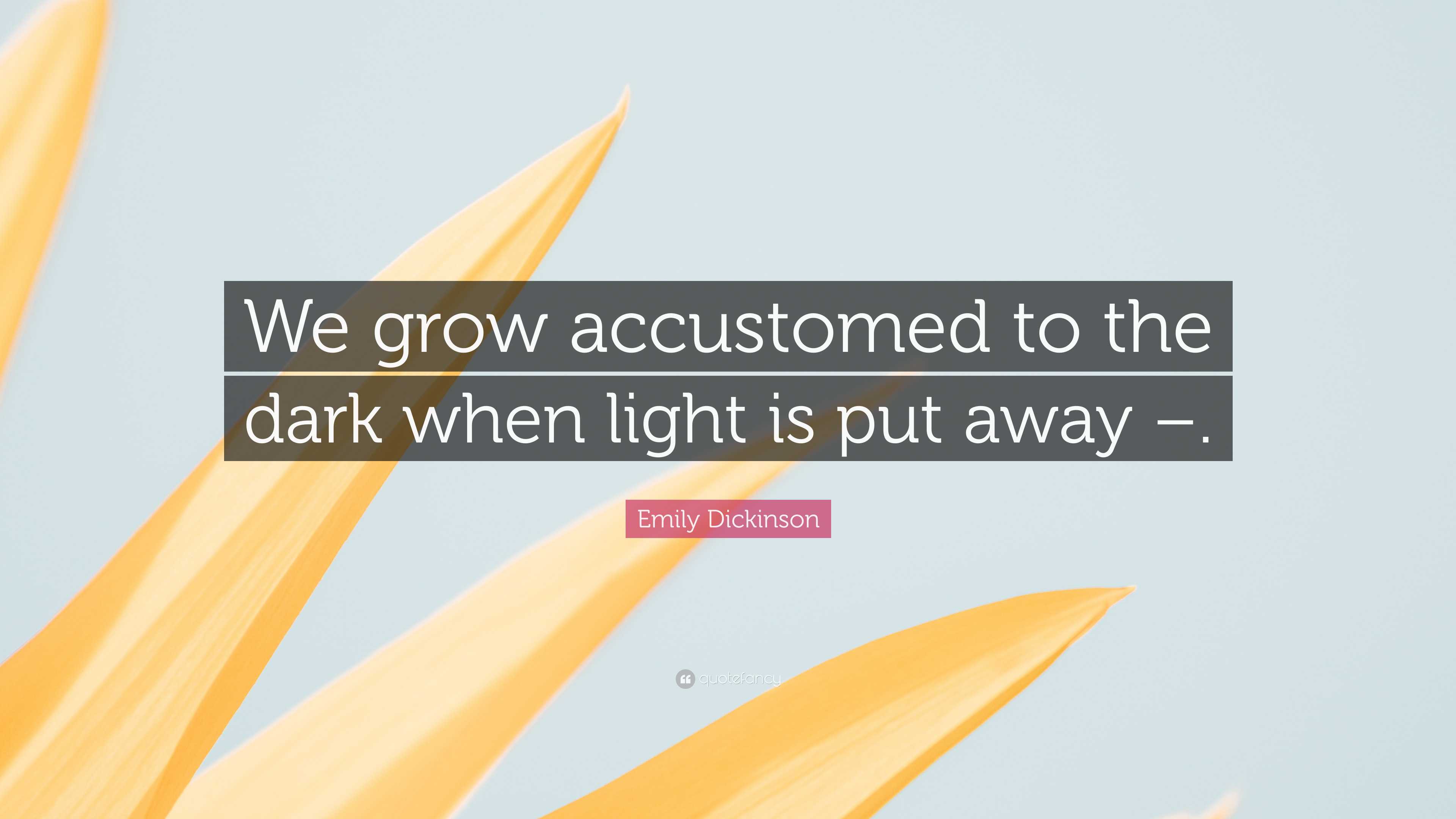 Emily Dickinson Quote: “We grow accustomed to the dark when light is ...